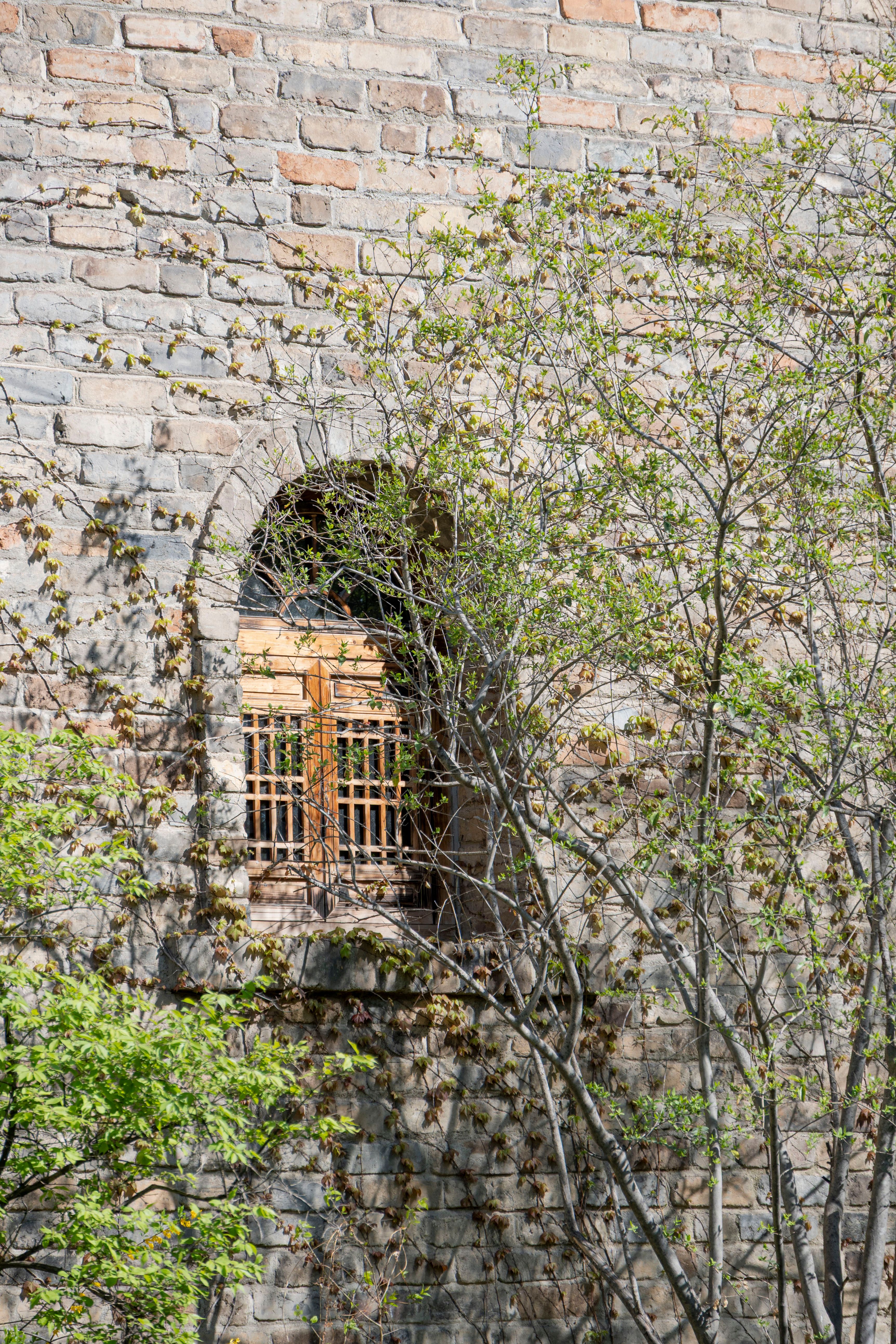 Rustic Stone Wall with Arched Window and Trees · Free Stock Photo