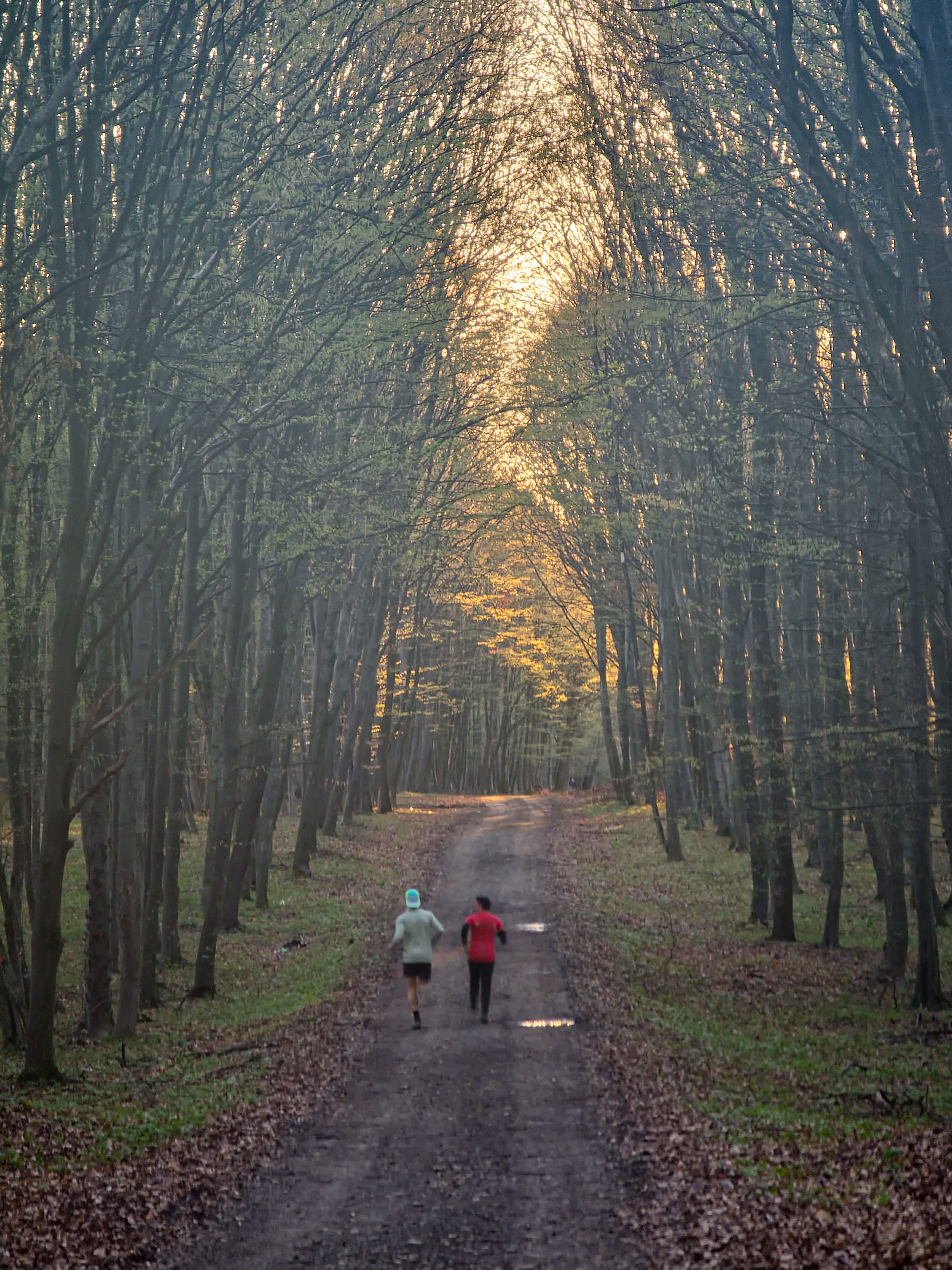 Running Morning Photos, Download The BEST Free Running Morning Stock ...