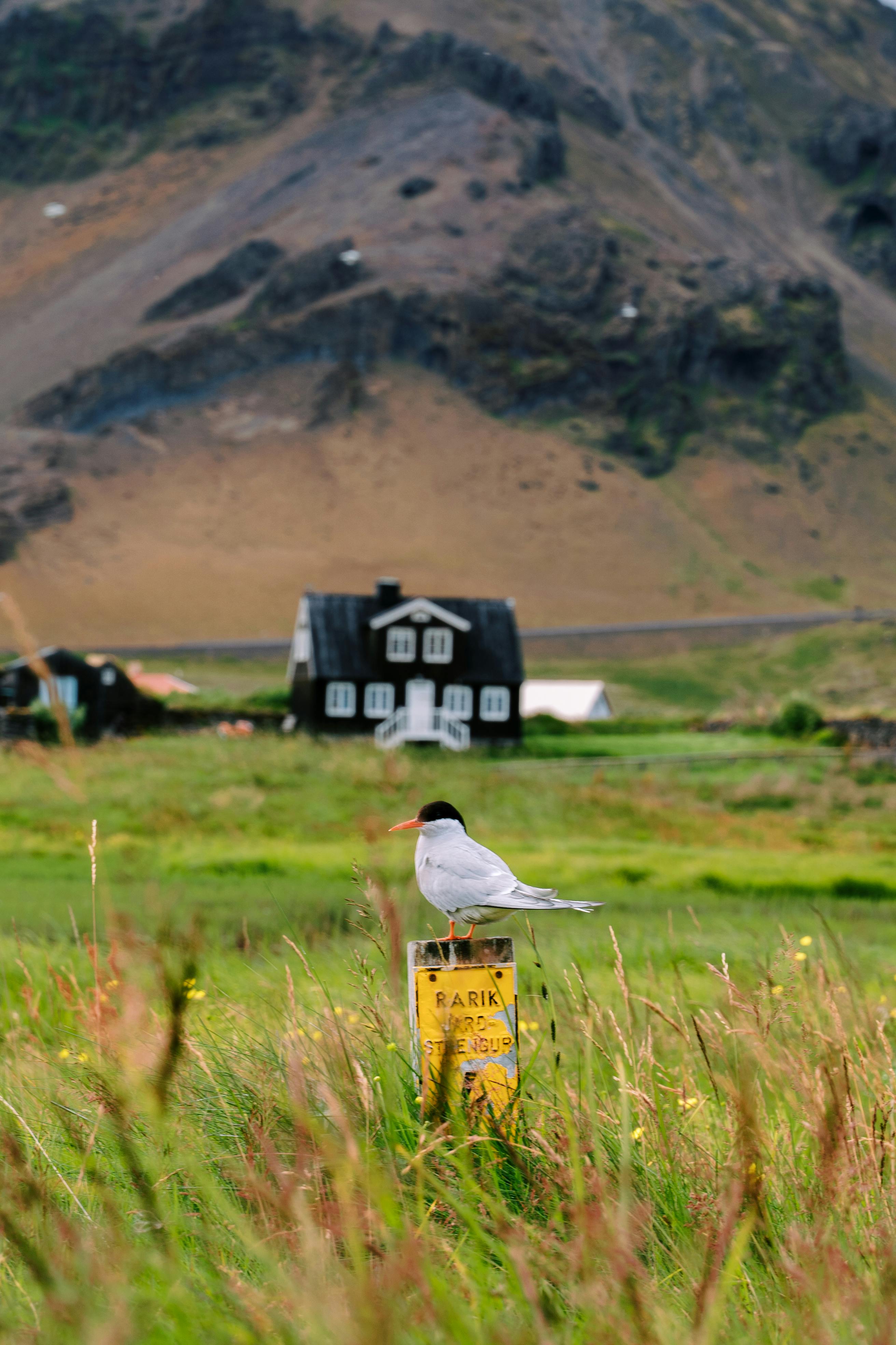 House Farnichar Photos, Download The BEST Free House Farnichar Stock ...