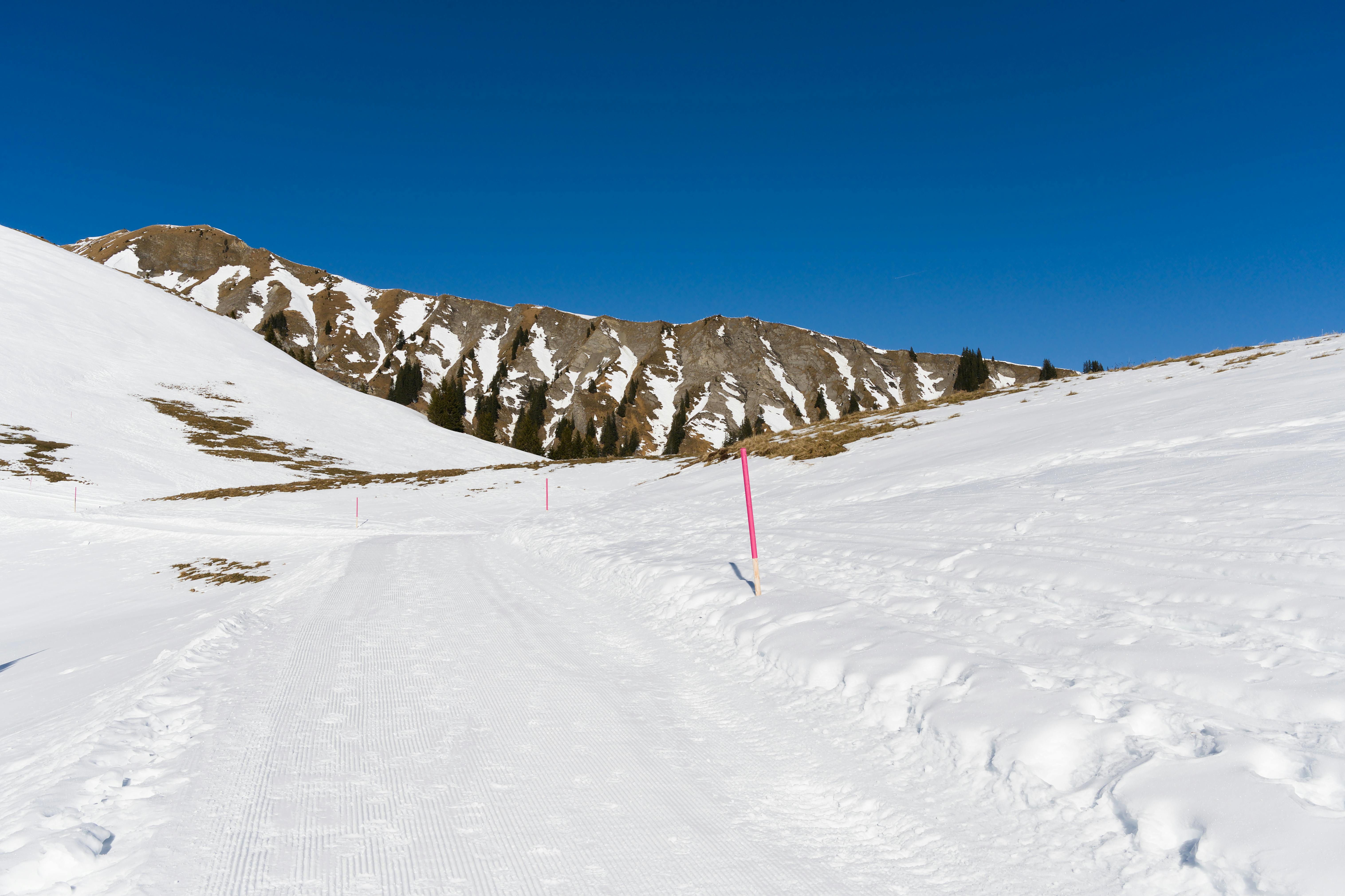 Luminary Path Photos, Download The BEST Free Luminary Path Stock Photos ...