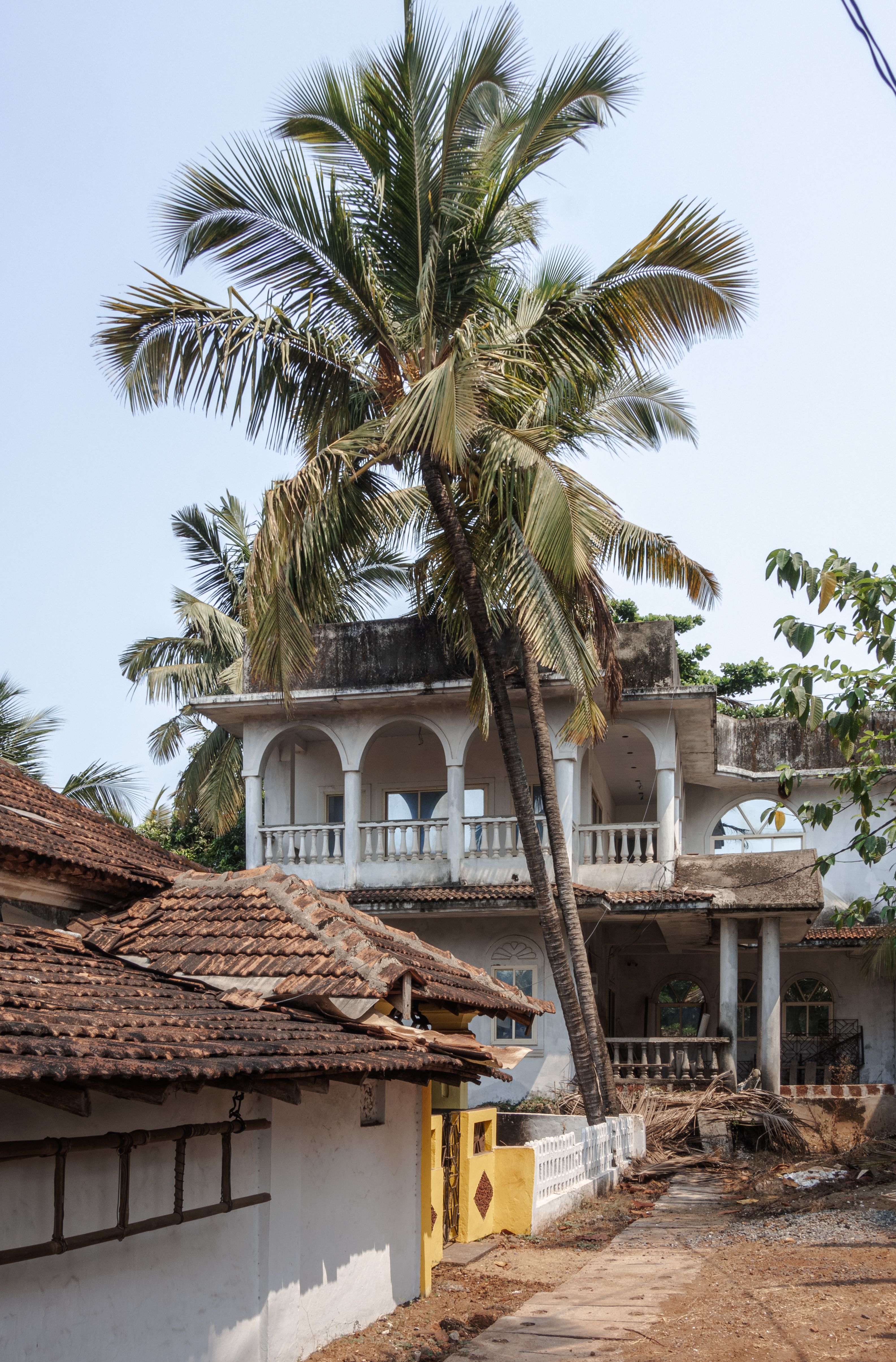Traditional Goan House with Palm Trees, India · Free Stock Photo