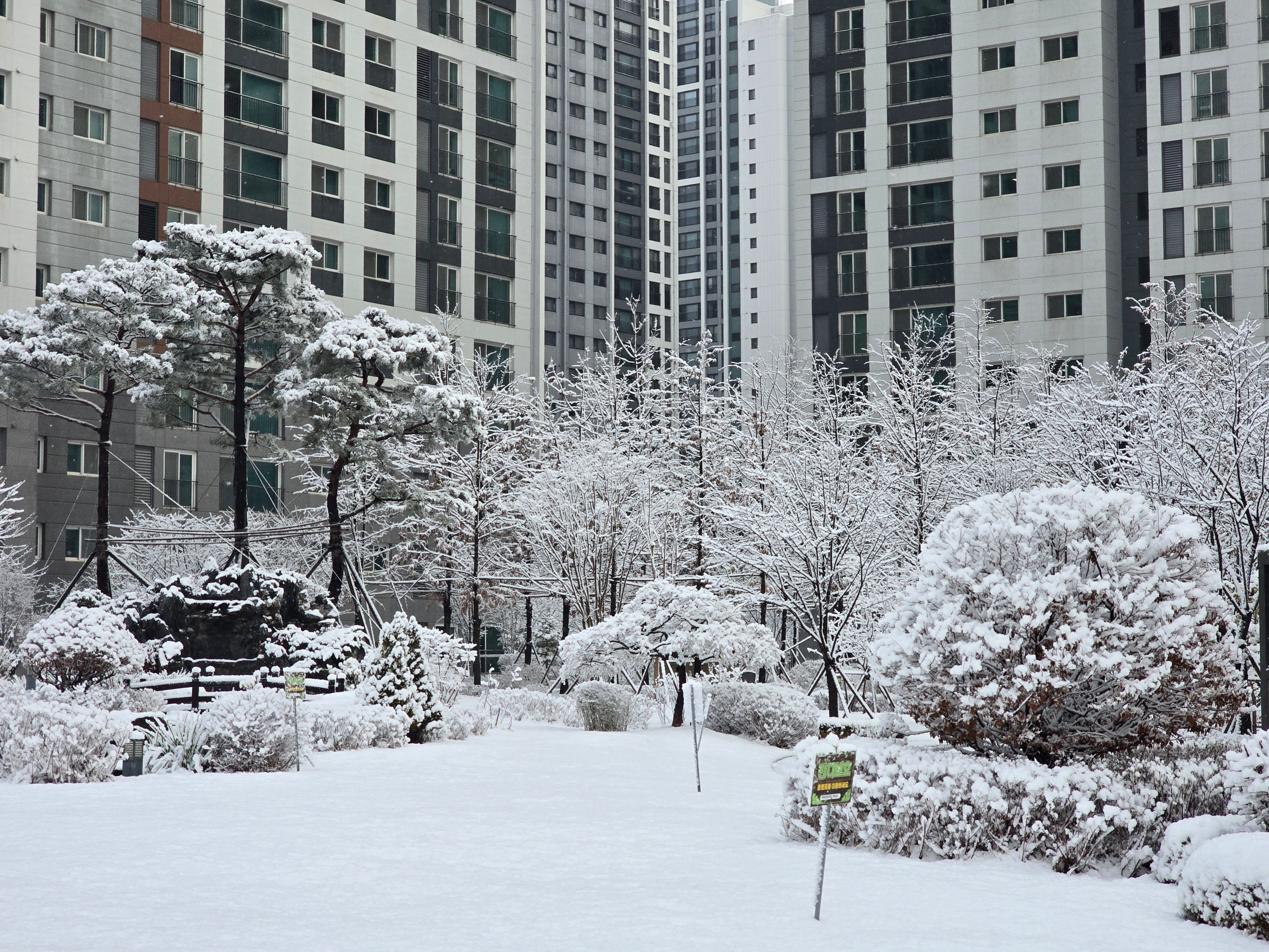 Snow-covered urban park with modern buildings · Free Stock Photo