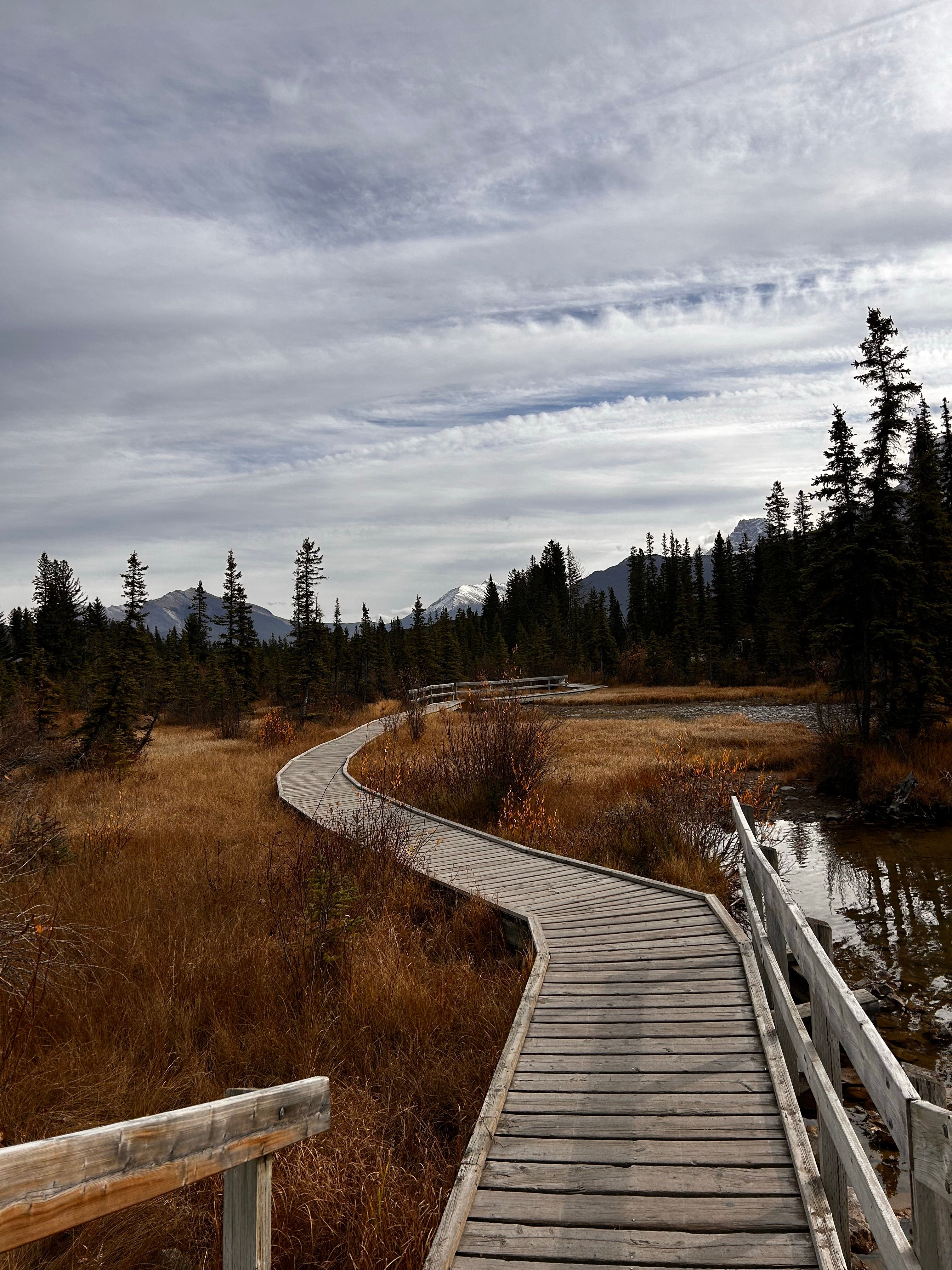 Scenic Boardwalk Trail in Mountain Wilderness · Free Stock Photo