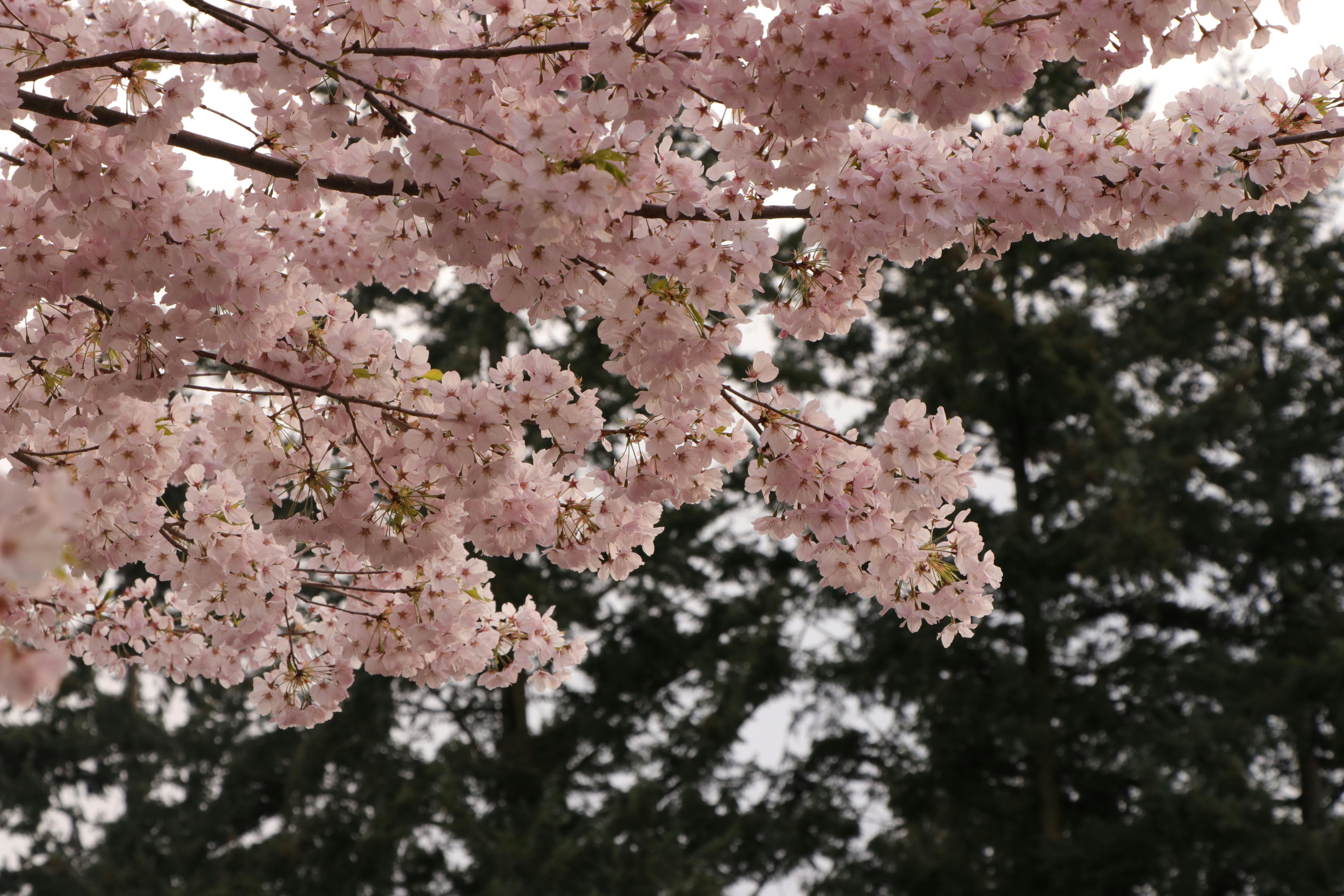 Giovanni Warren - Photography