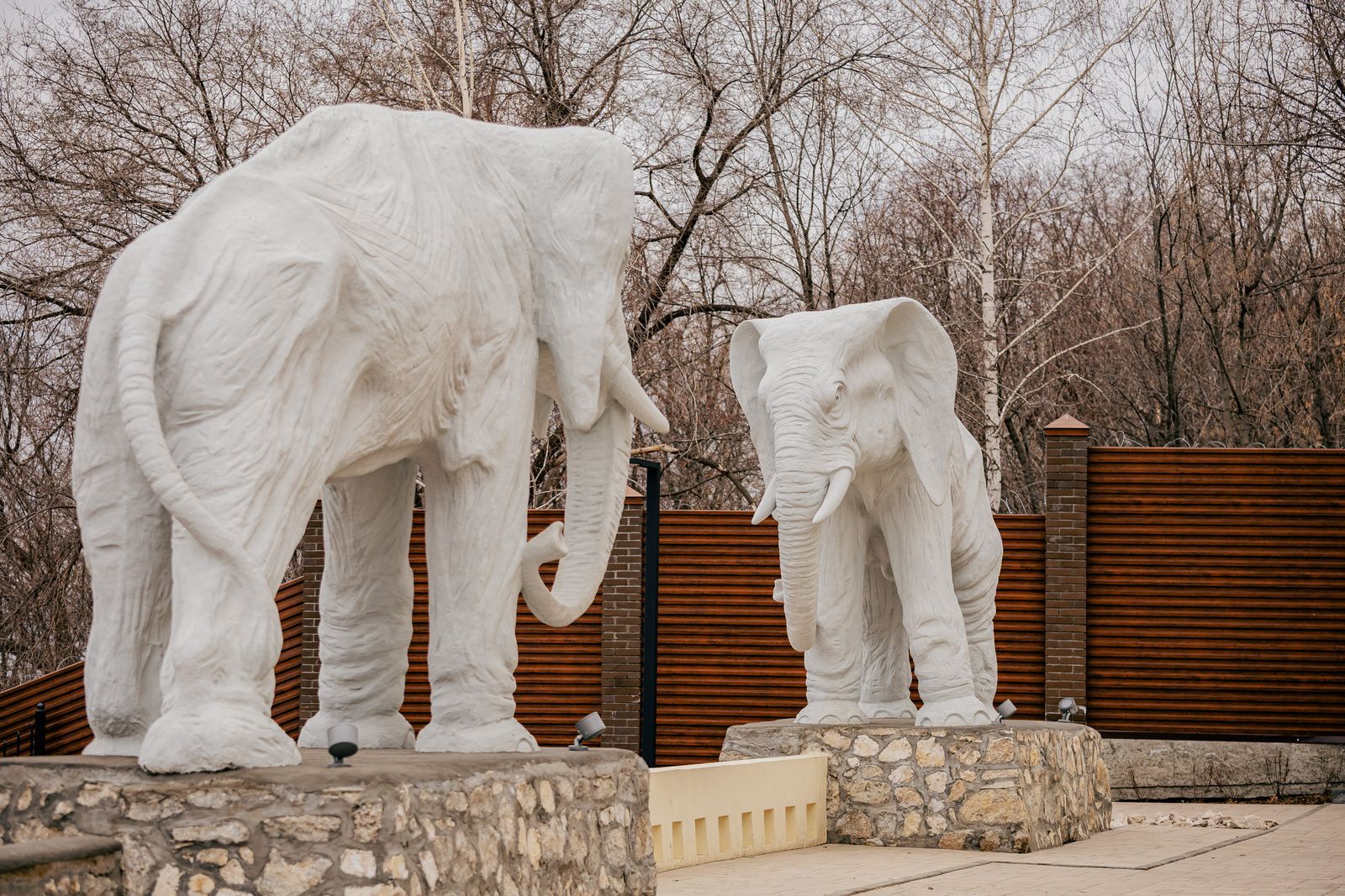White Elephant Photos, Download The BEST Free White Elephant Stock ...