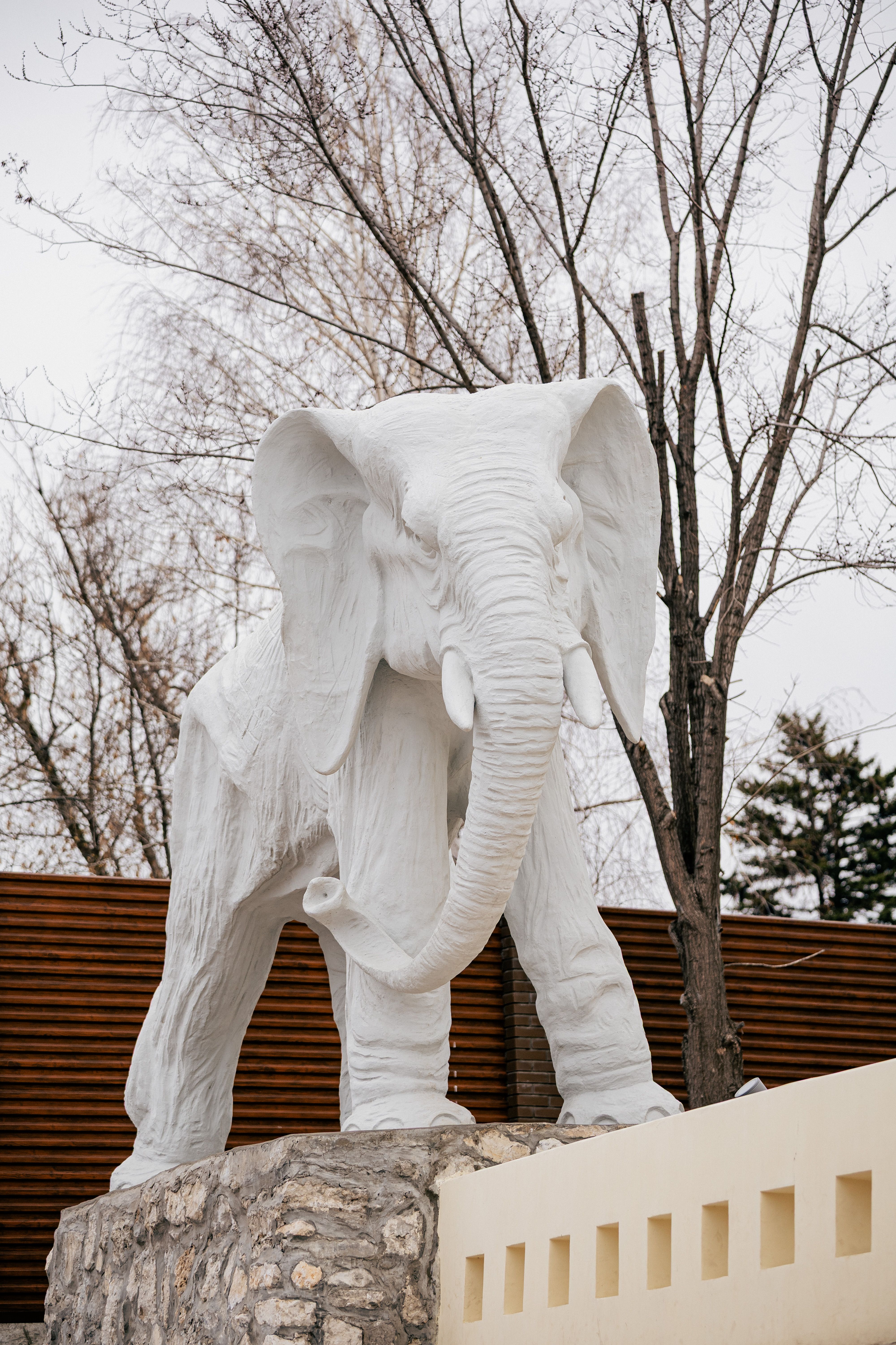White Elephant Statue in Outdoor Setting · Free Stock Photo