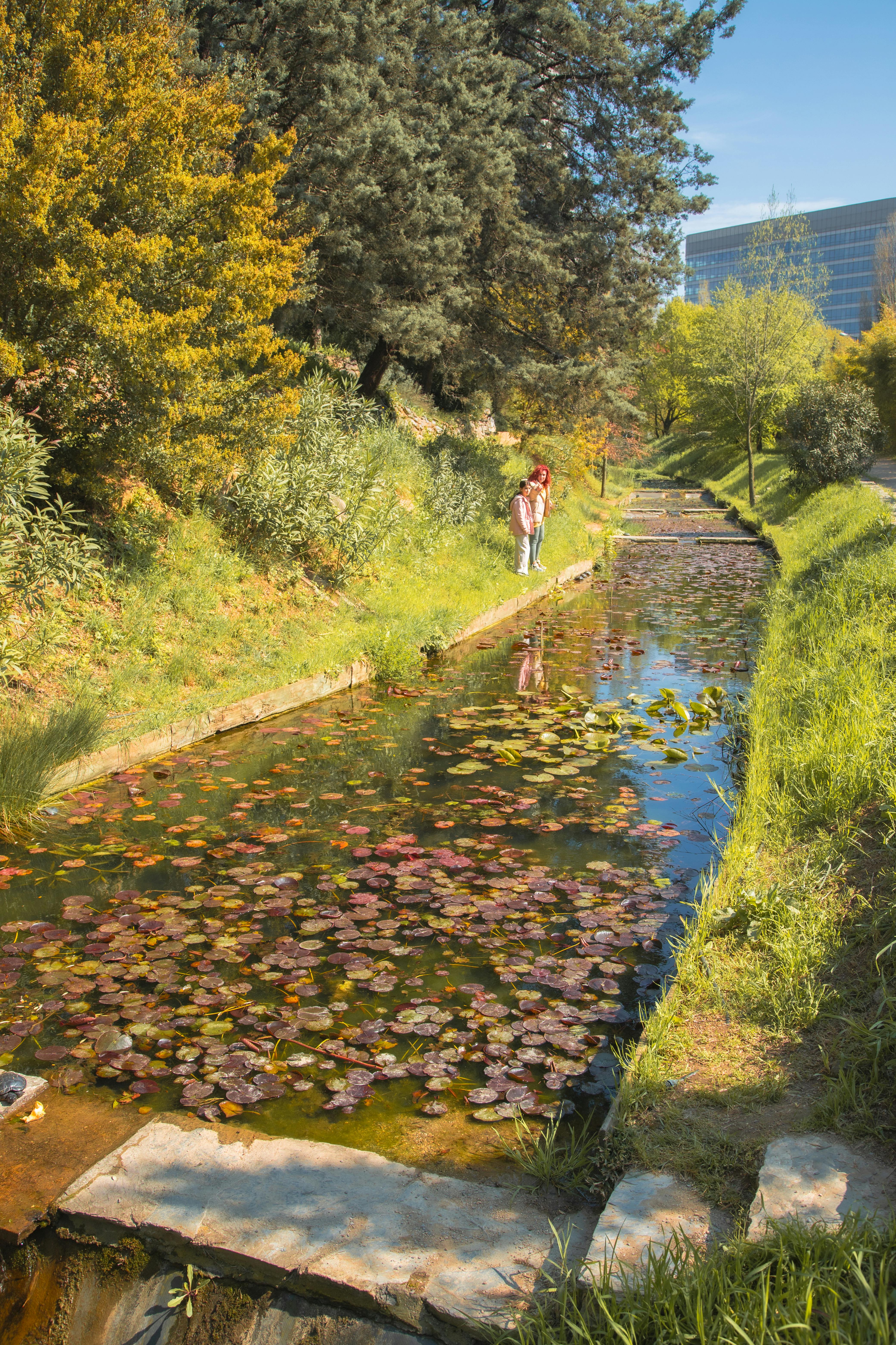 Scenic Spring Canal in Botanical Garden Setting · Free Stock Photo