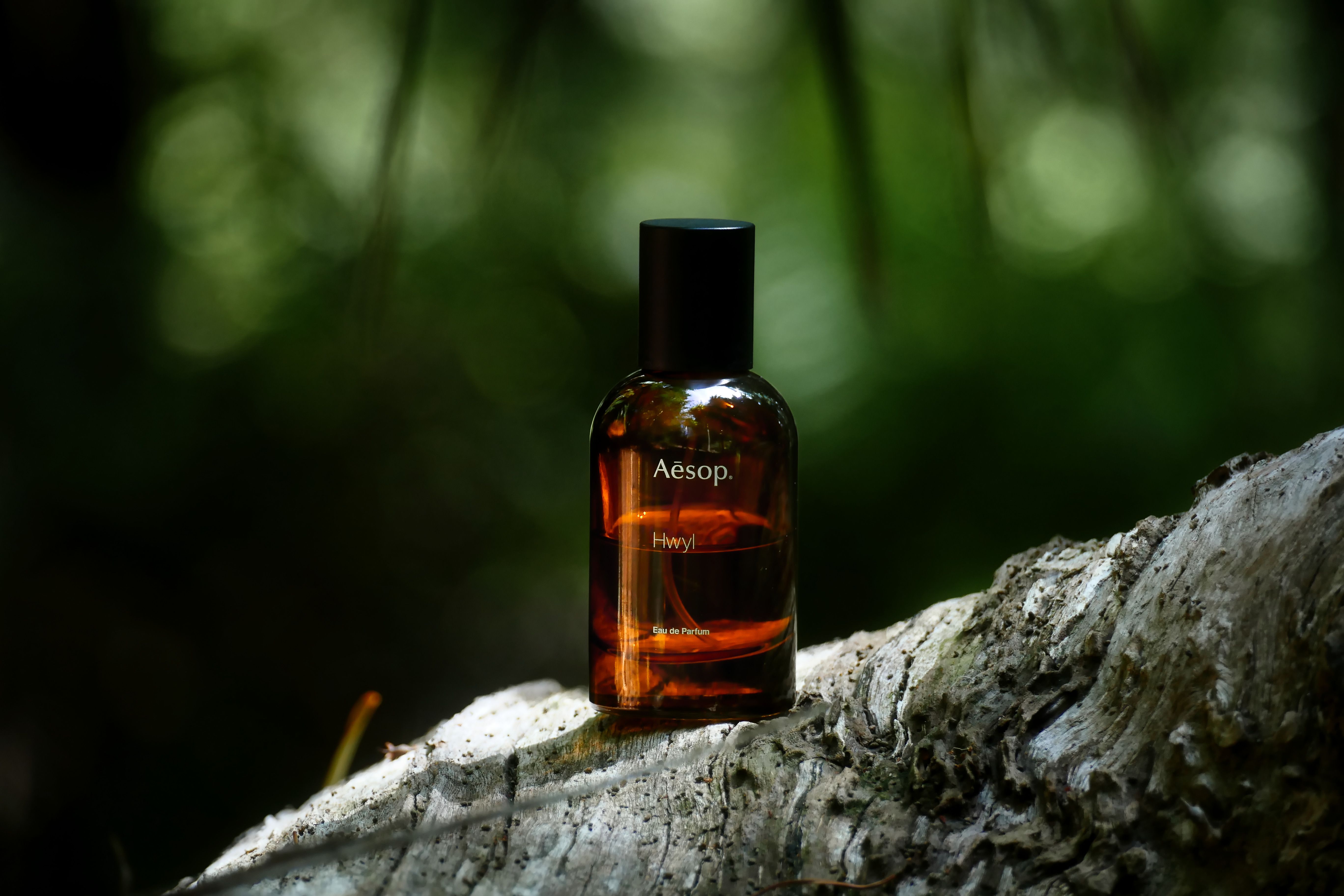 Aesop Hwyl Perfume Bottle in Natural Setting · Free Stock Photo