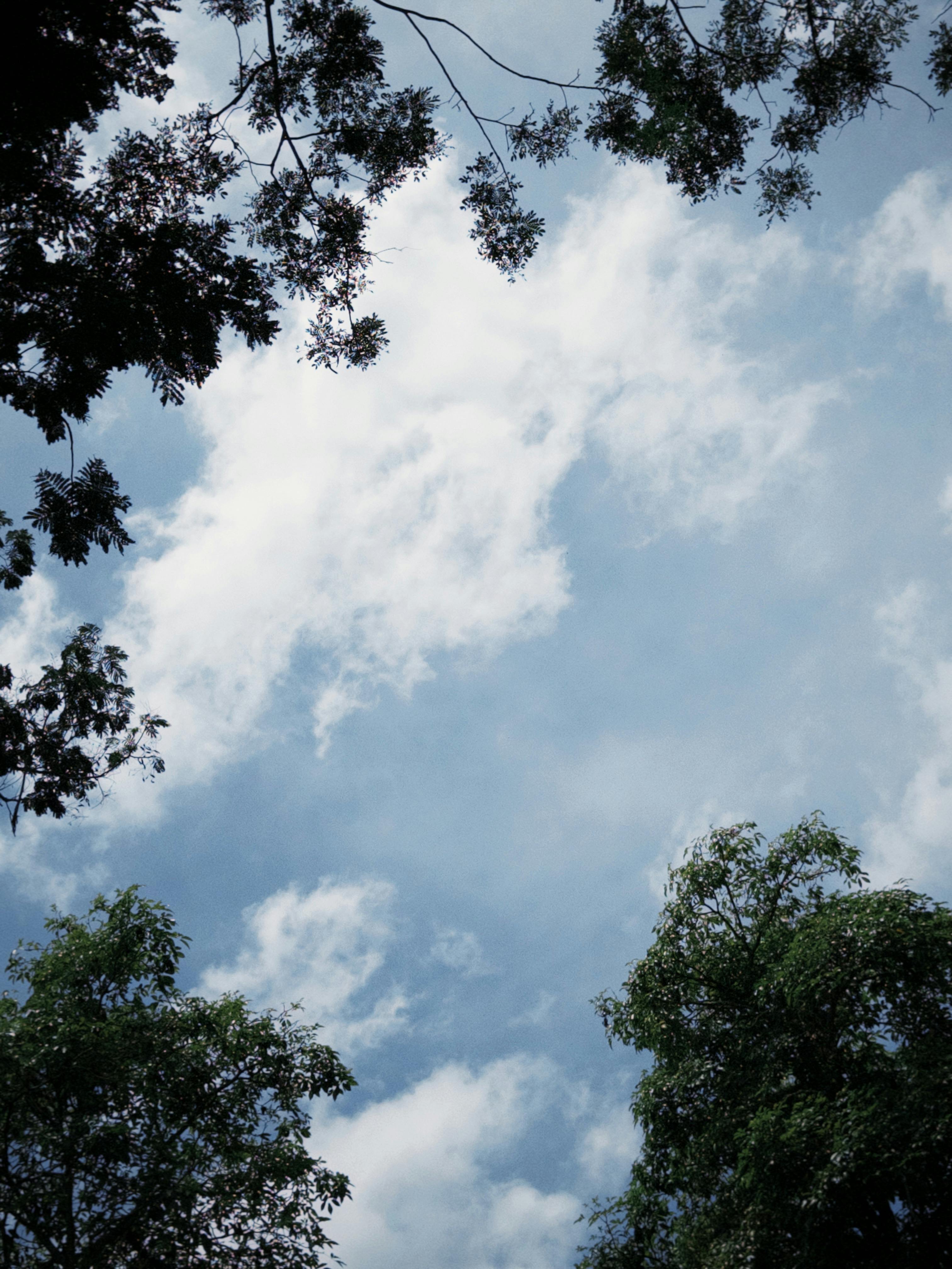 Calming Sky Photos, Download The BEST Free Calming Sky Stock Photos ...