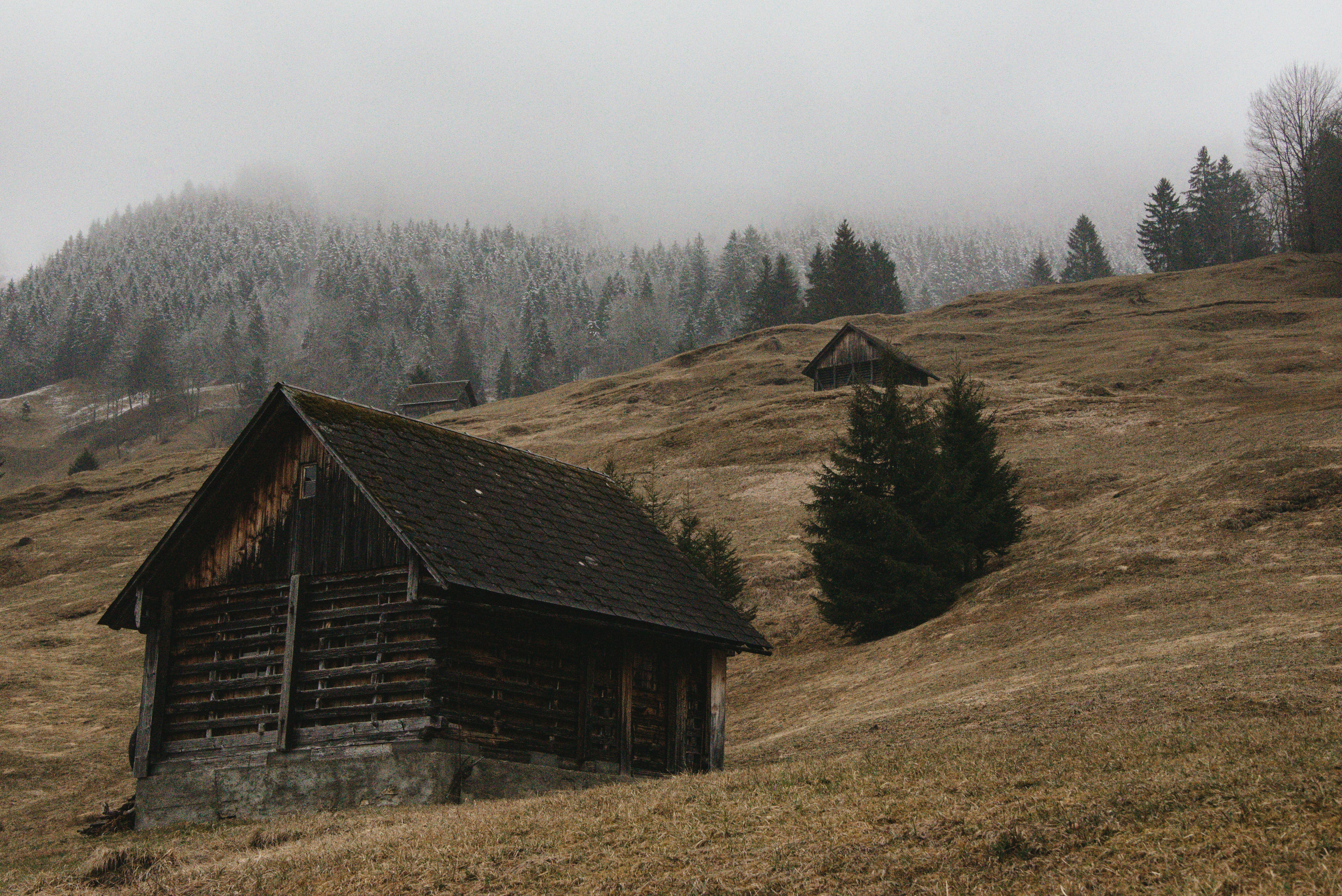 Rustic Swiss Cabin in Misty Alpine Landscape · Free Stock Photo
