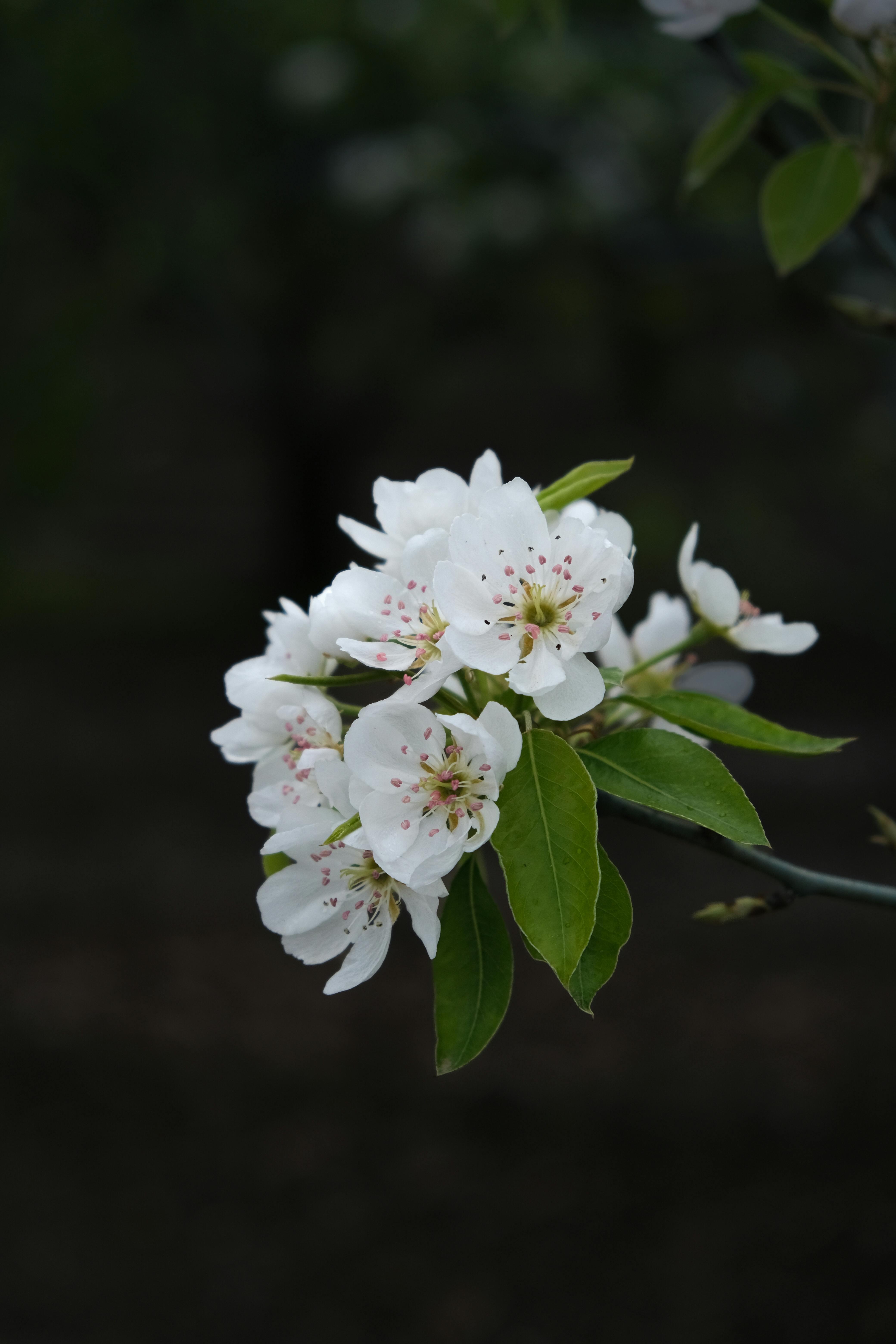 Emre Gencer - Fotografi