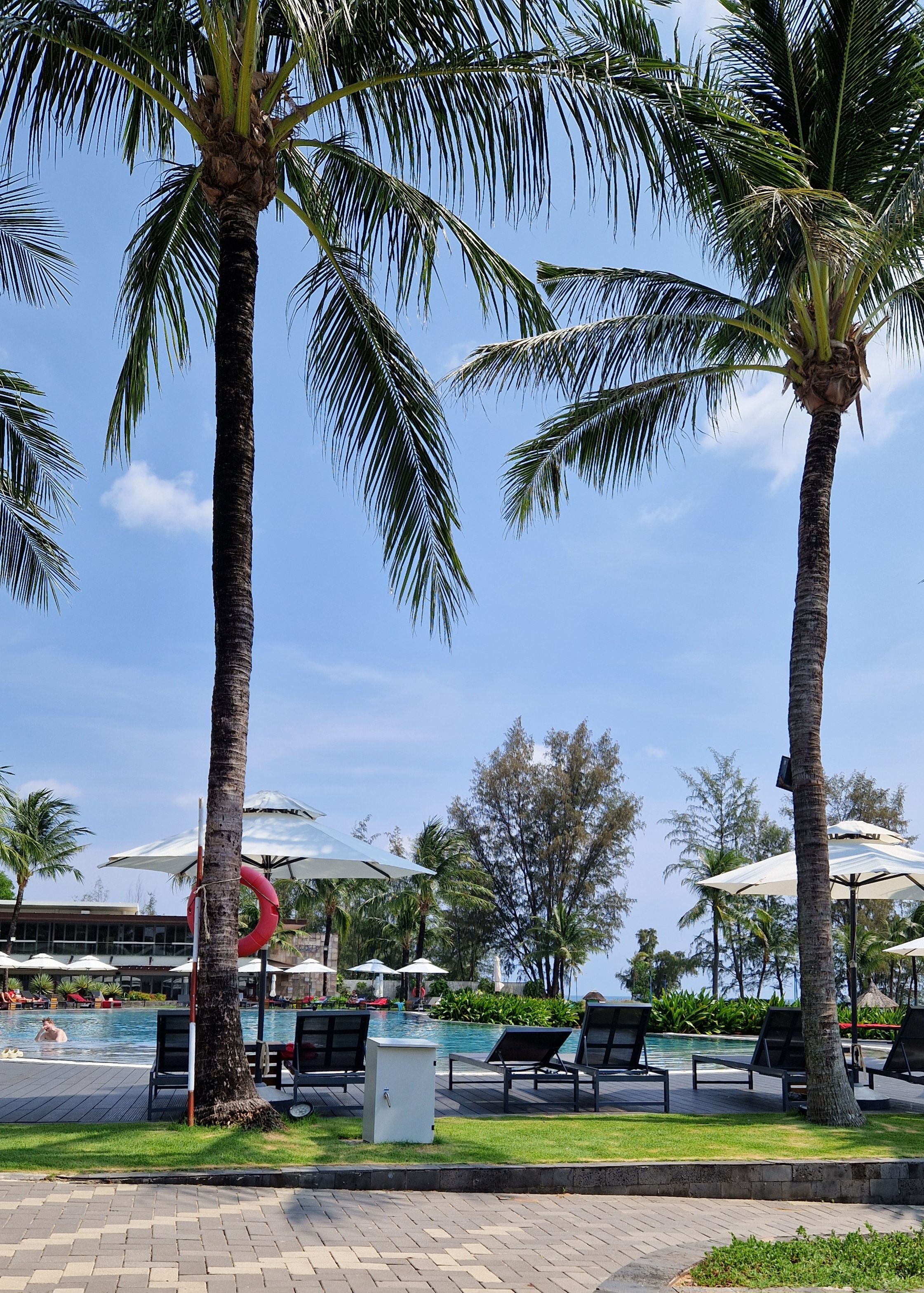 Tropical Resort Poolside with Palm Trees · Free Stock Photo