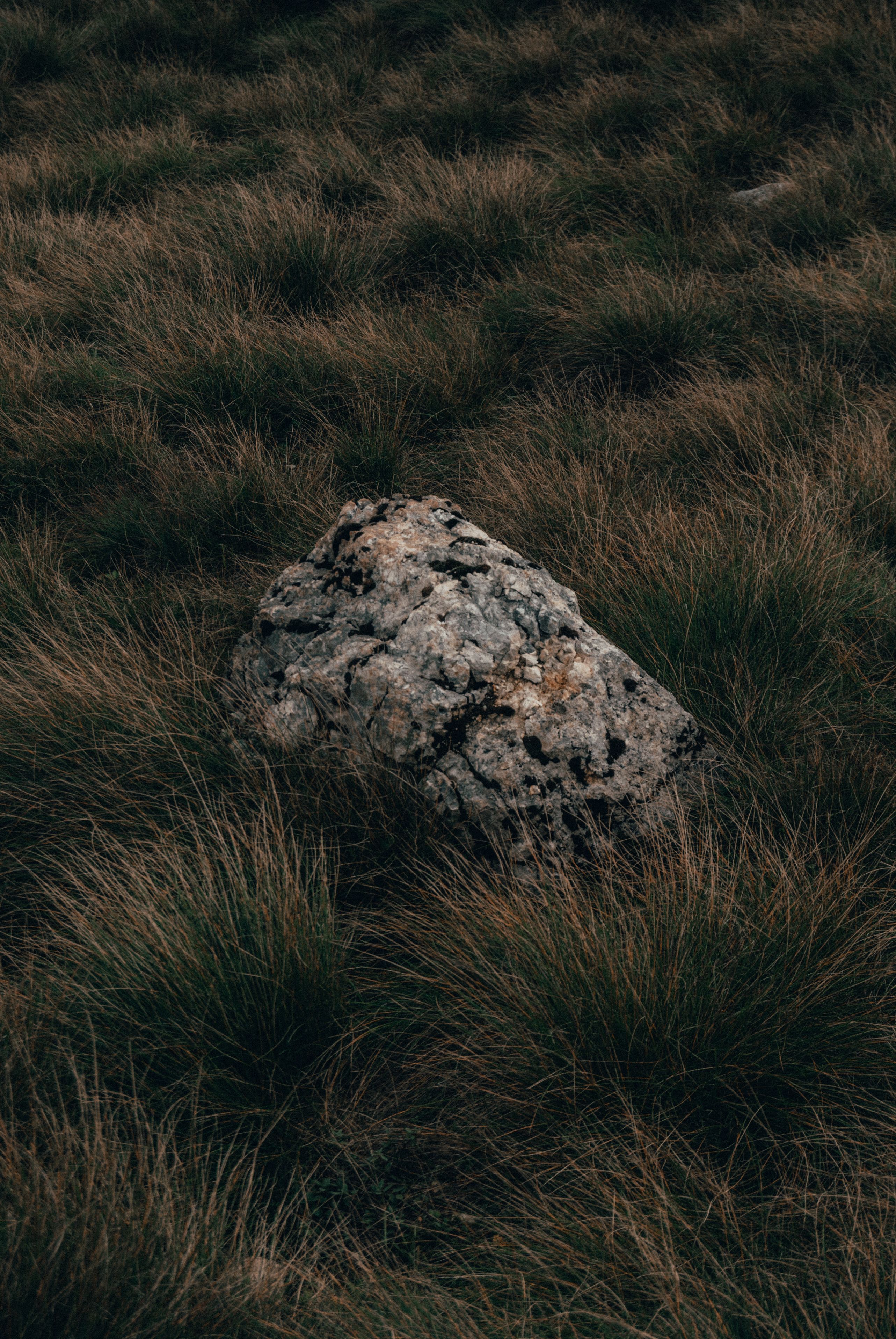Rut Stony Photos, Download The BEST Free Rut Stony Stock Photos & HD Images