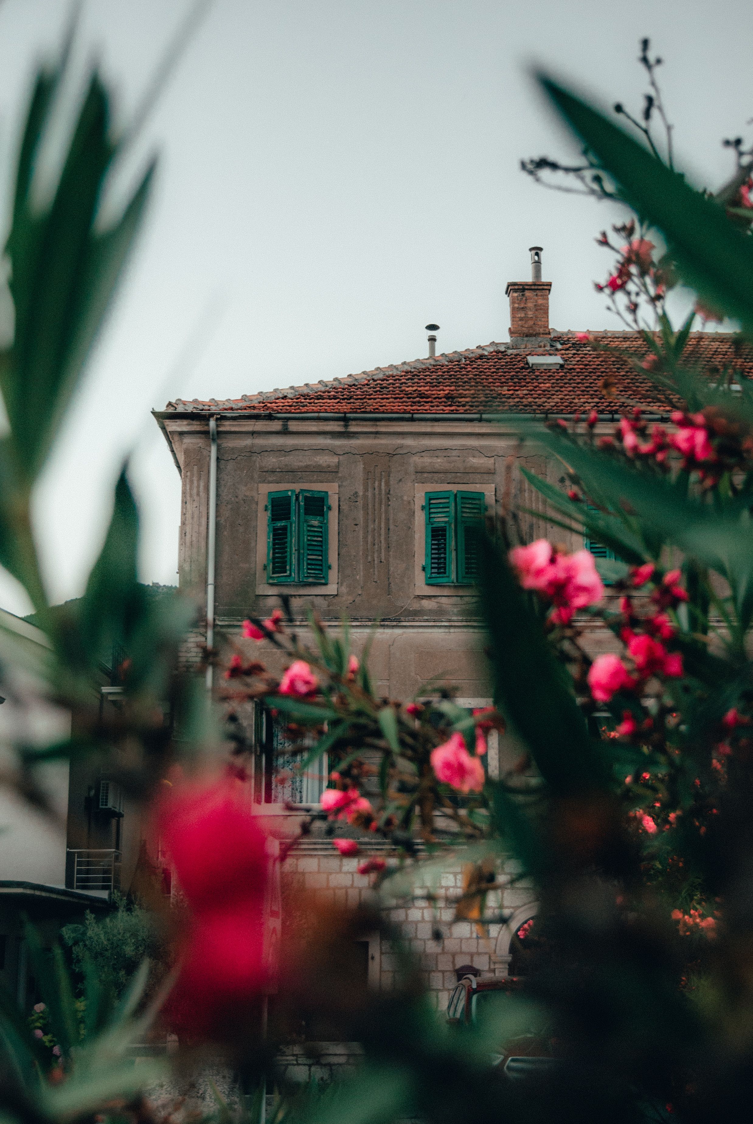 Rustic House with Flowers in Mediterranean Setting · Free Stock Photo