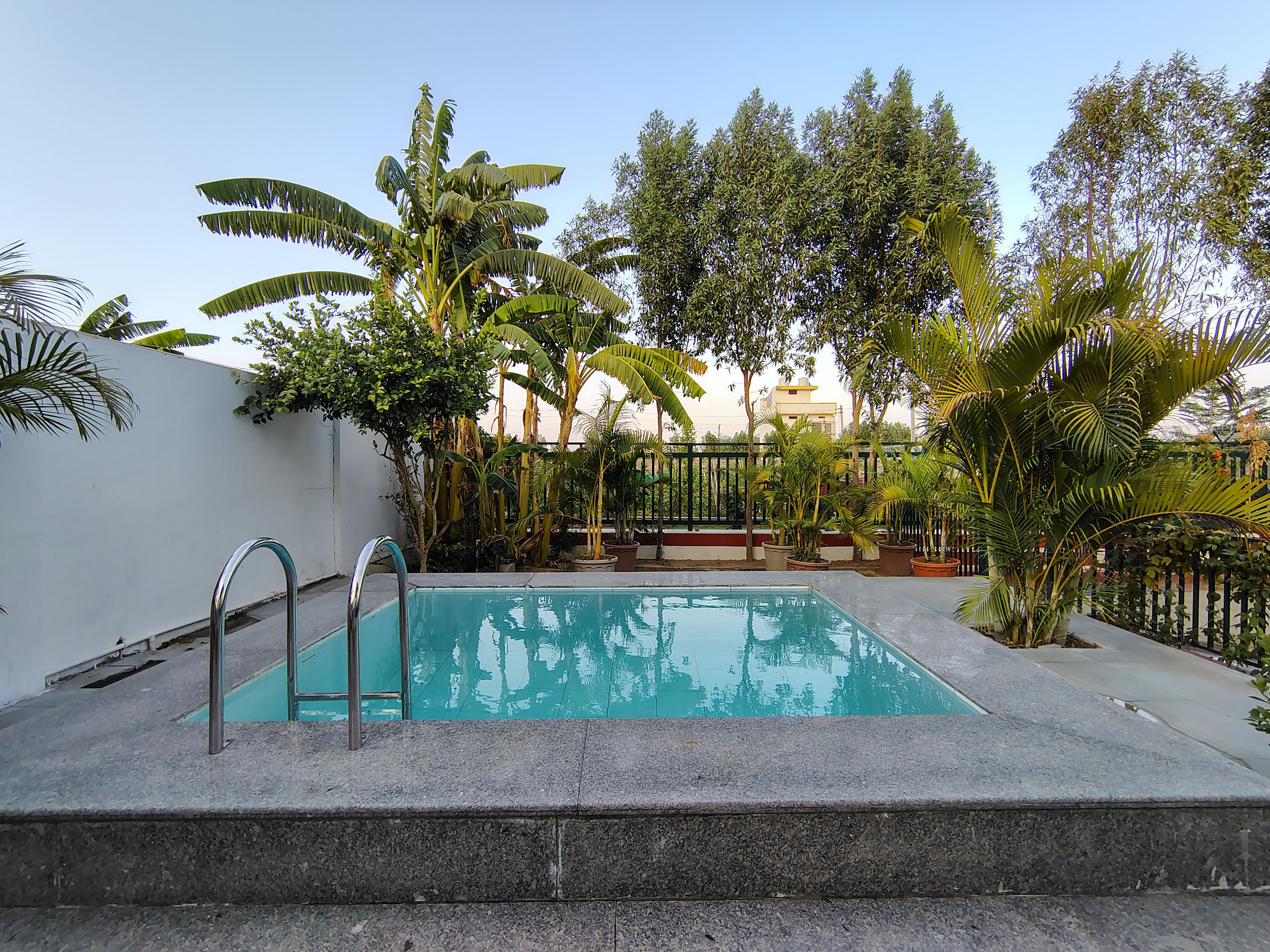 Tropical Outdoor Swimming Pool Surrounded by Lush Greenery · Free Stock ...