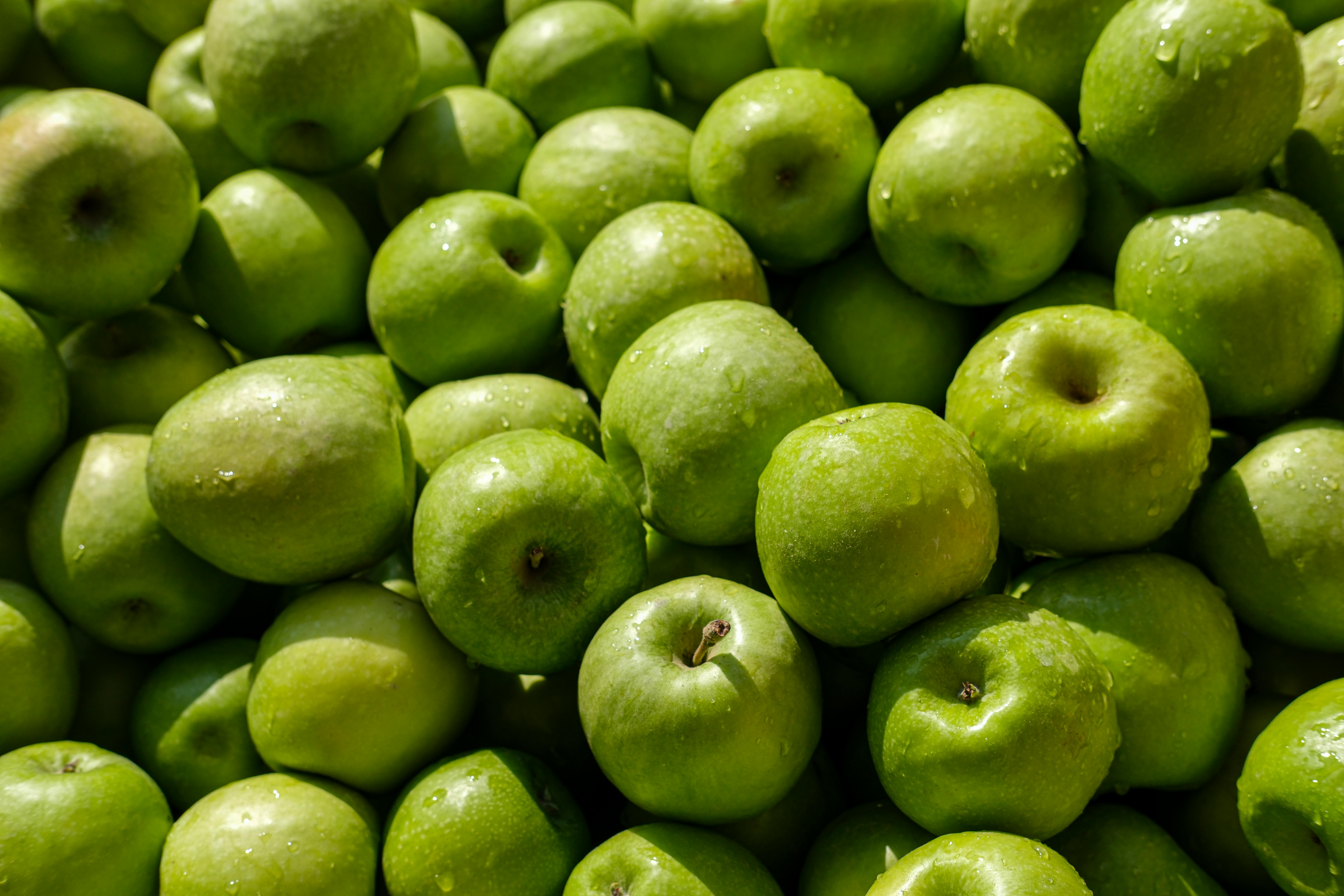 Green Apple Lot · Free Stock Photo