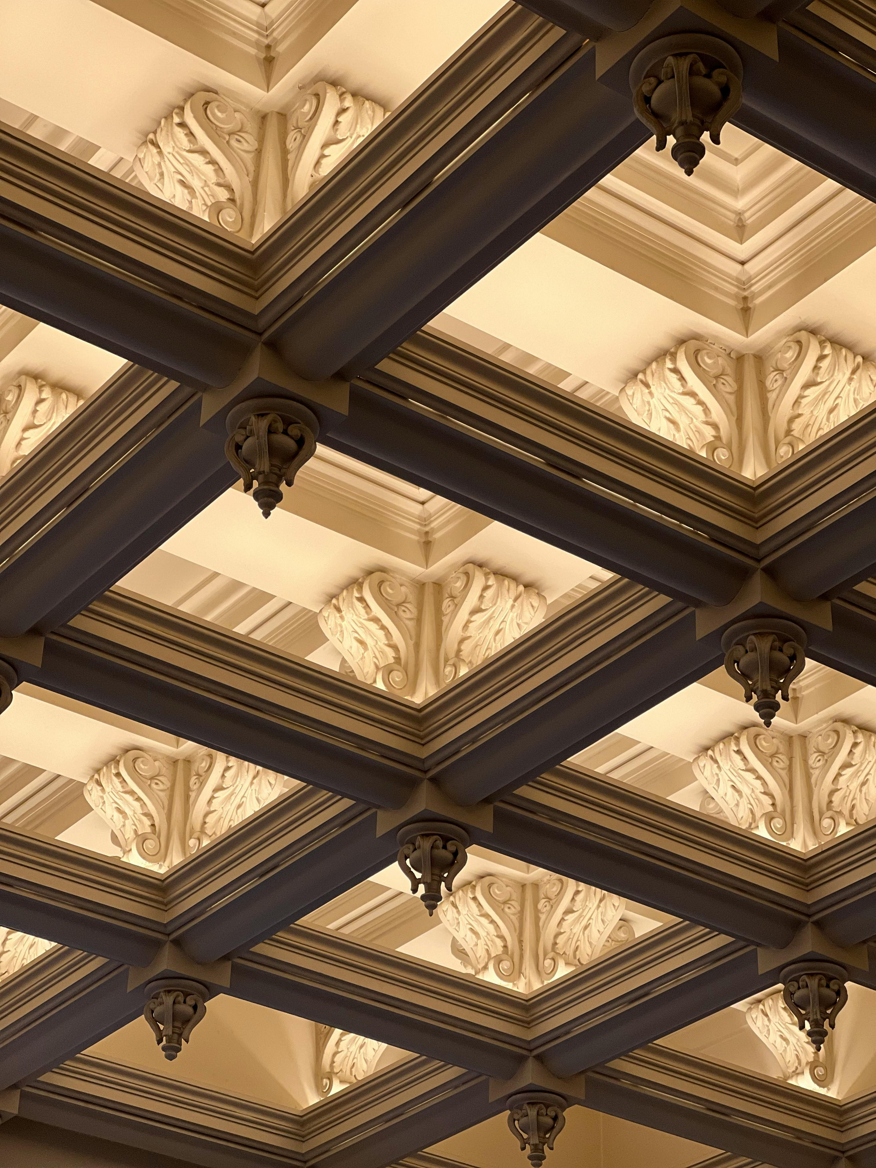 Intricate Ceiling Design in Historical Museum · Free Stock Photo