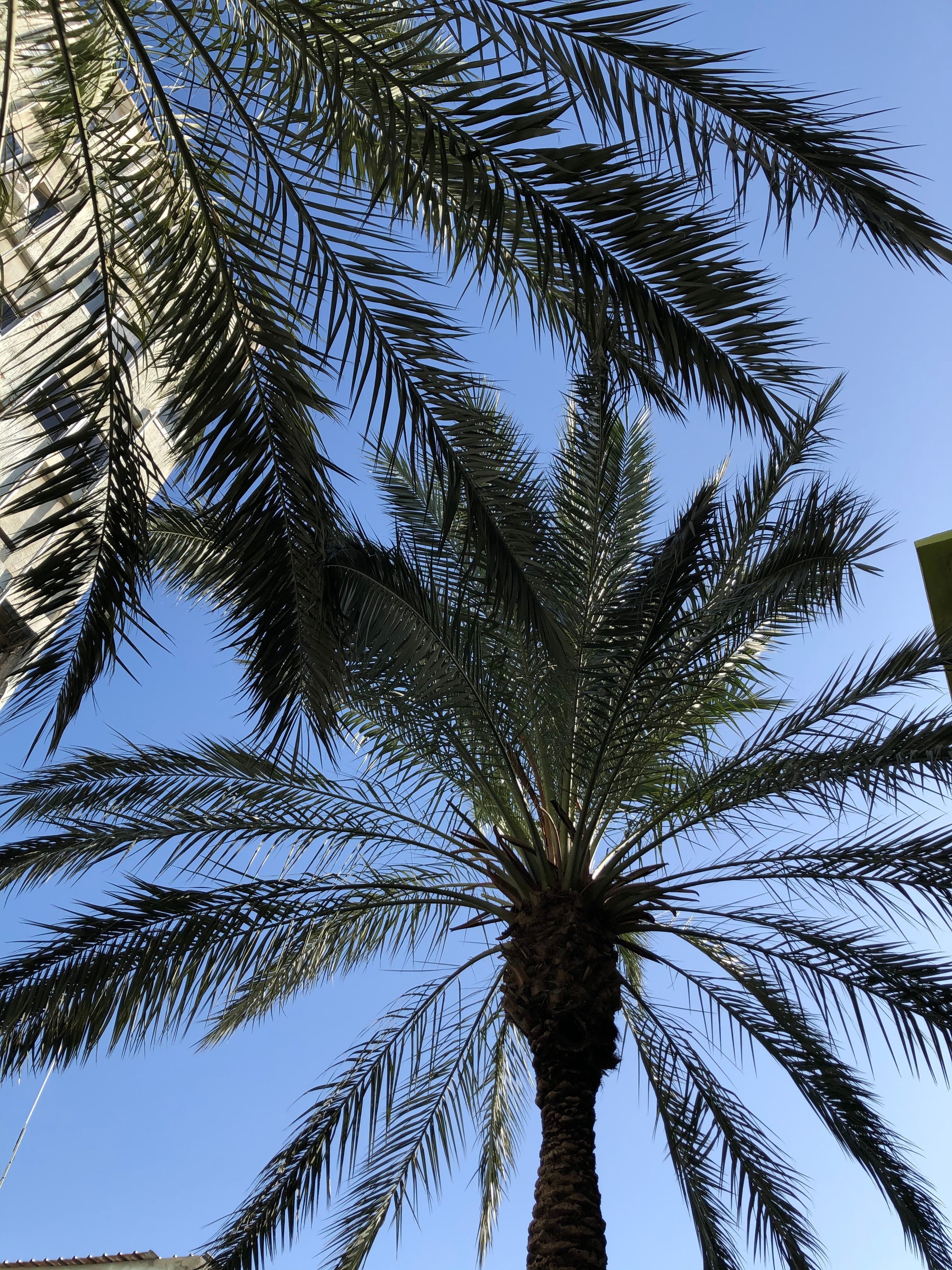Photography Israel Photos, Download The BEST Free Photography Israel ...