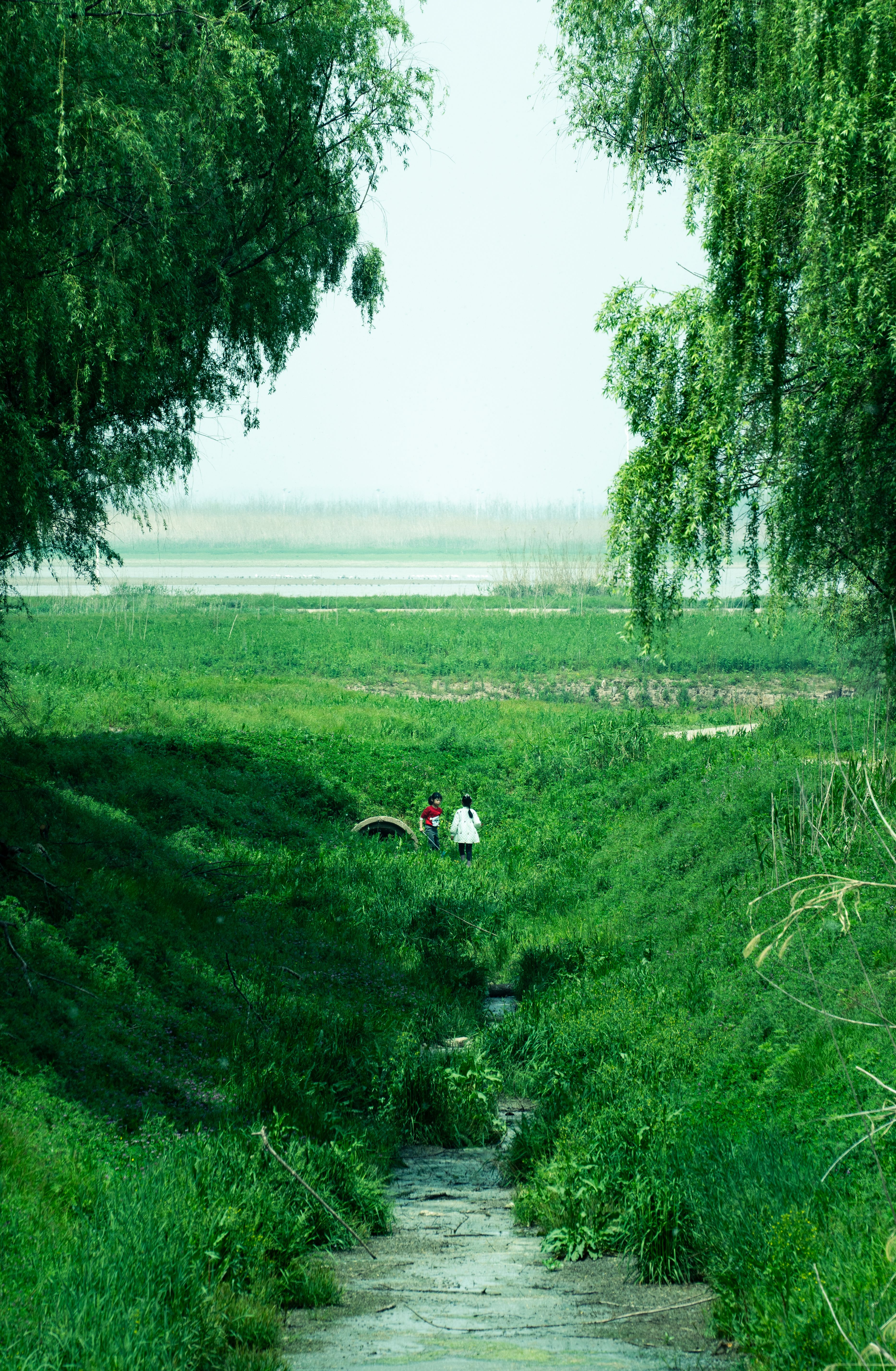 Serene Green Landscape with Two People Walking · Free Stock Photo
