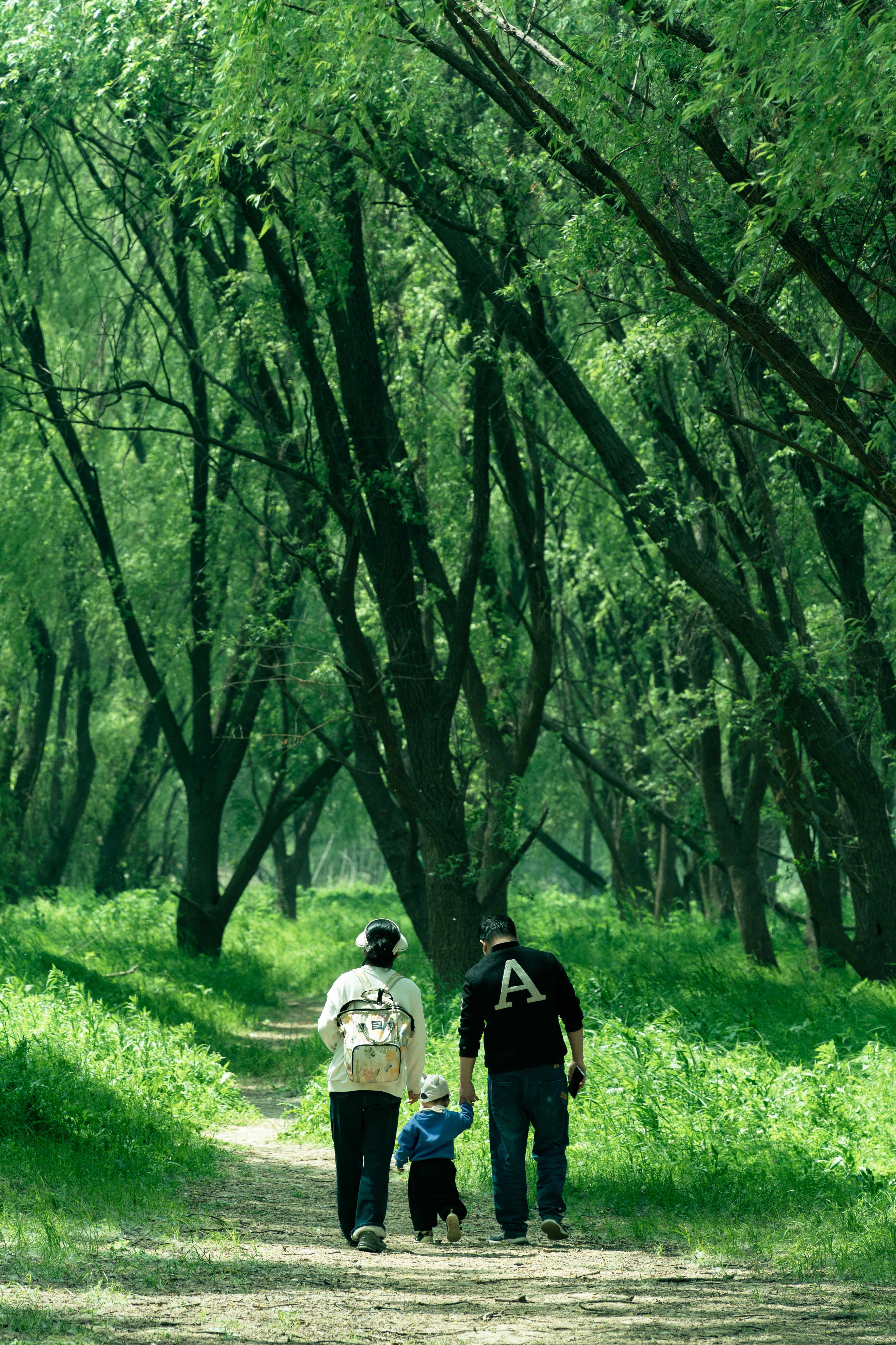 Family Stroll in a Serene Green Forest Park · Free Stock Photo