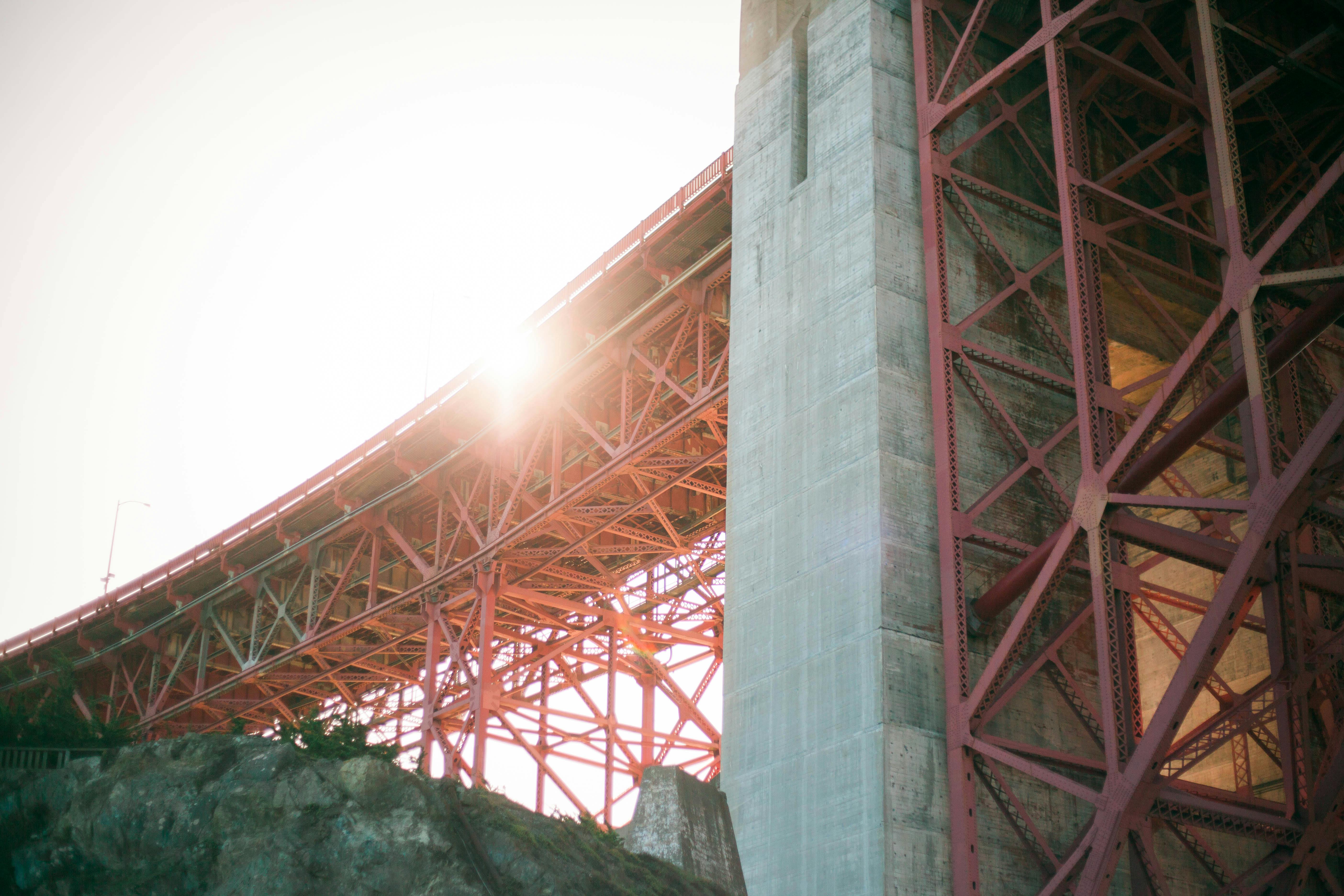 Scott McIntosh - Fotografía