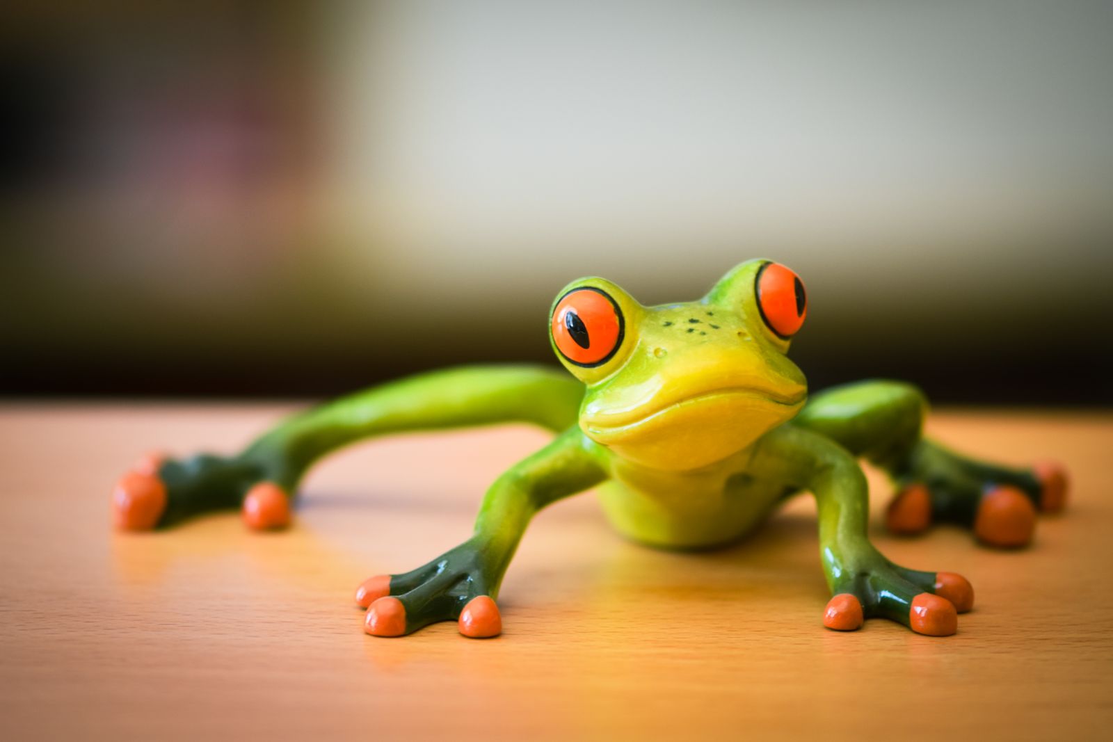 Cute Frog Photos, Download The BEST Free Cute Frog Stock Photos & HD Images