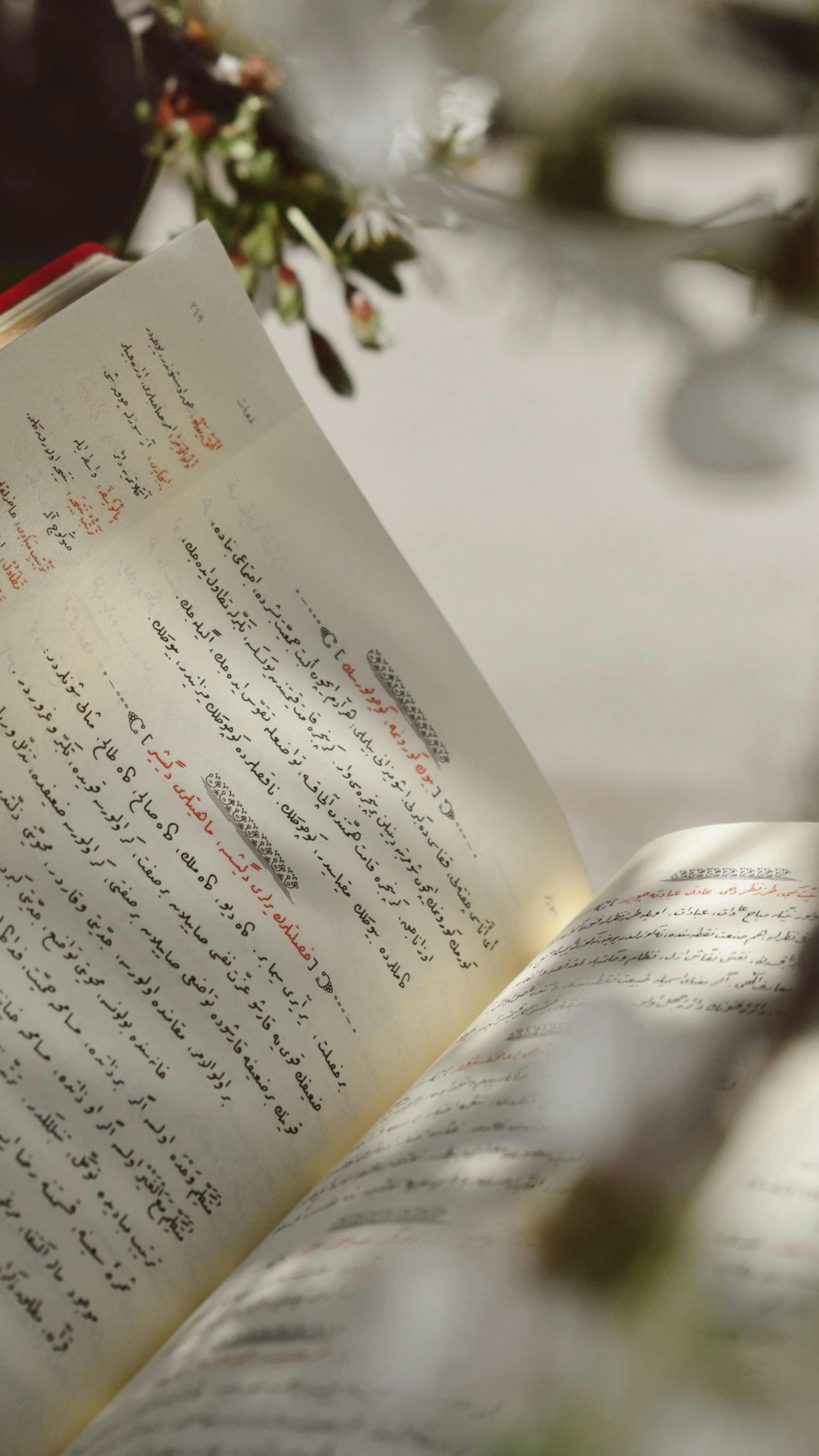 Nonce Word Photos, Download The BEST Free Nonce Word Stock Photos & HD ...