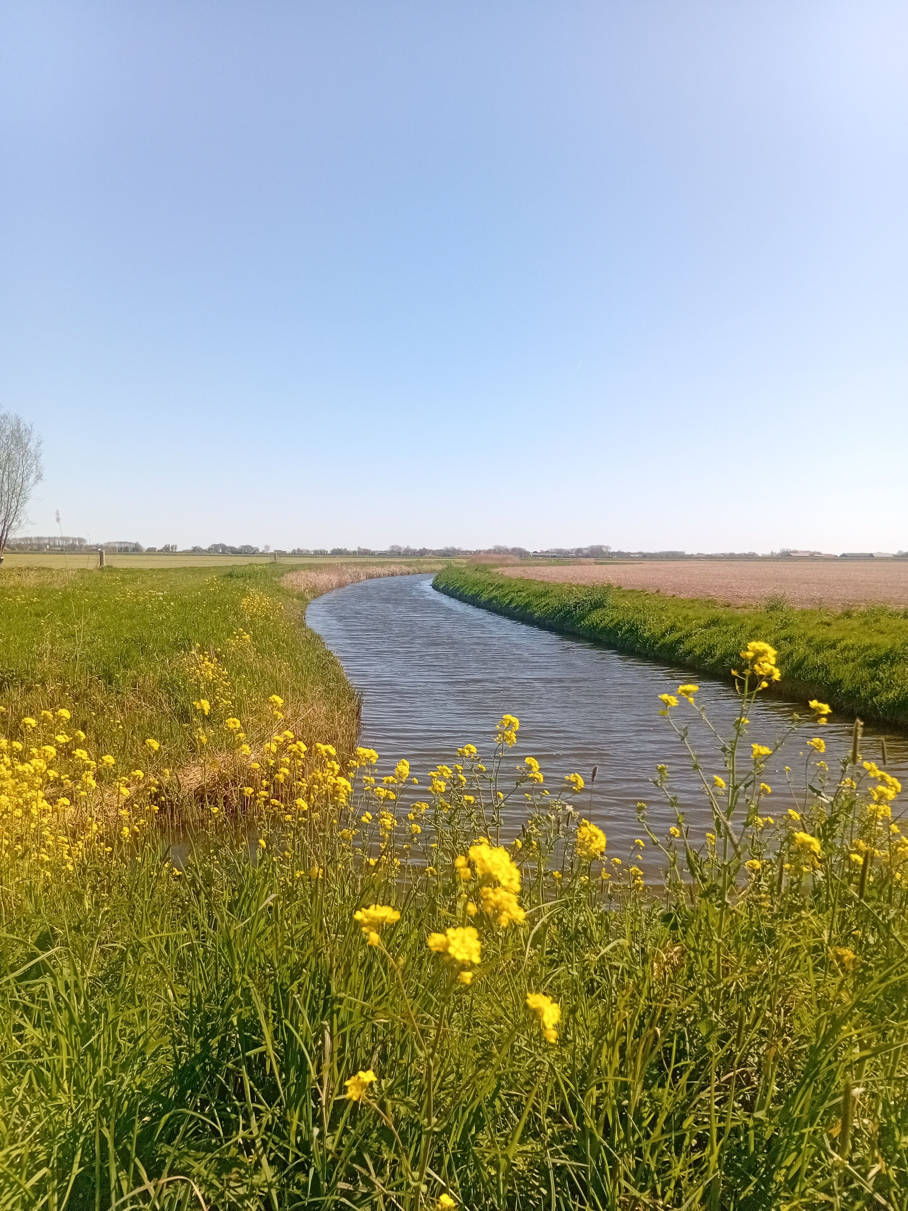 Watercourse Photos, Download The BEST Free Watercourse Stock Photos ...