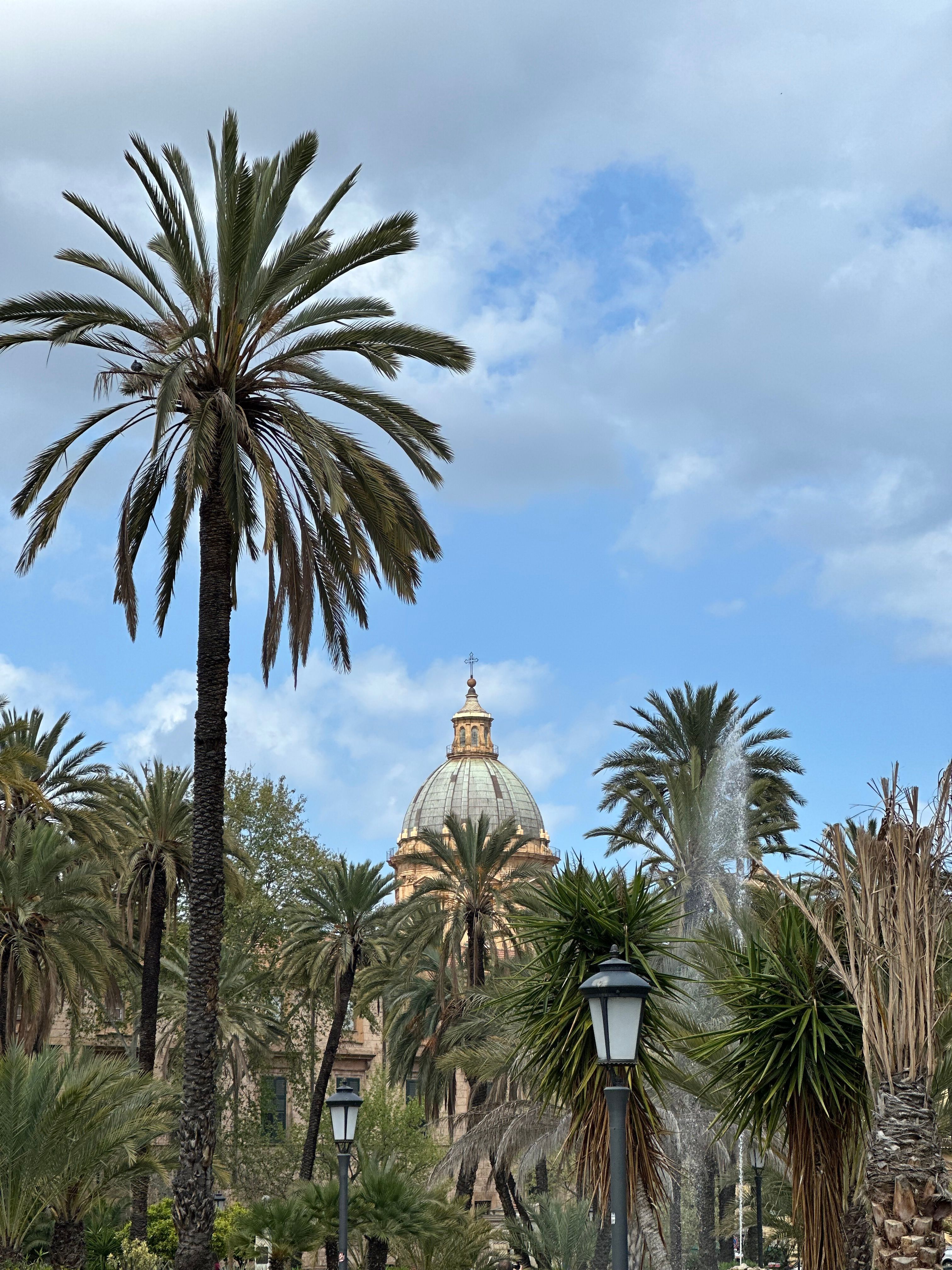 Palm Trees with Palermo Cathedral Dome · Free Stock Photo