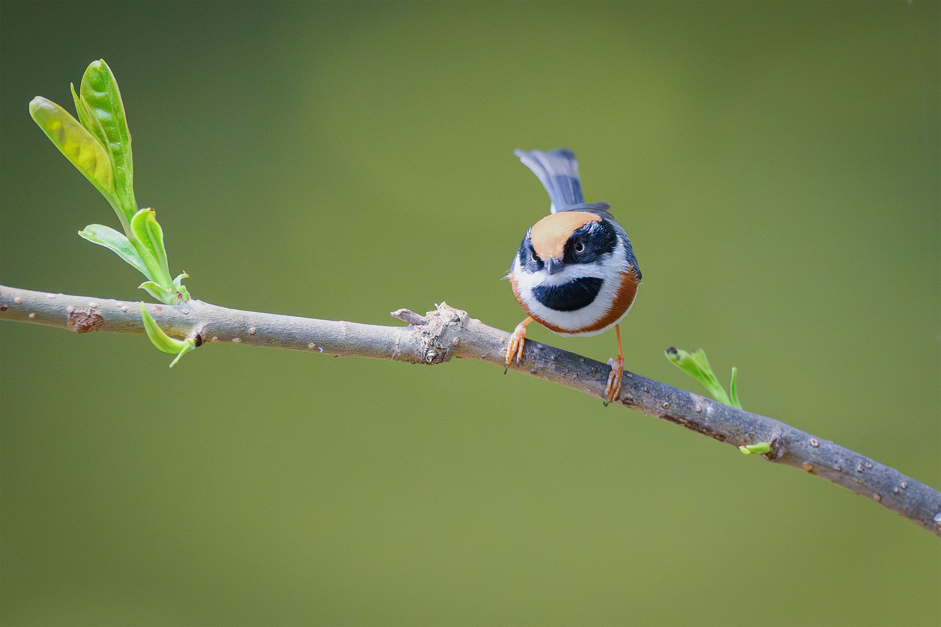Eye Catch Photos, Download The BEST Free Eye Catch Stock Photos & HD Images