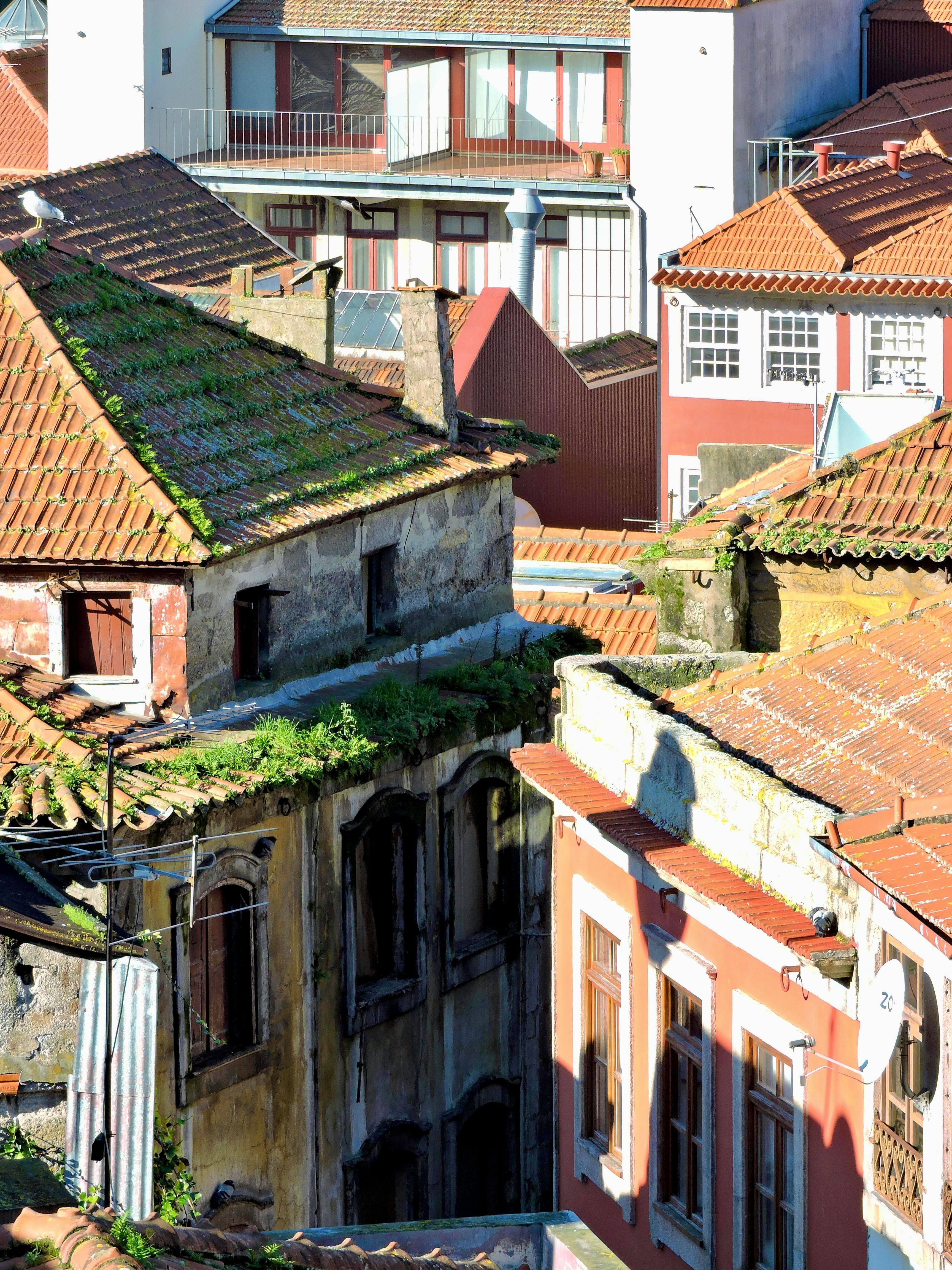 Esh Color Photos, Download The BEST Free Esh Color Stock Photos & HD Images