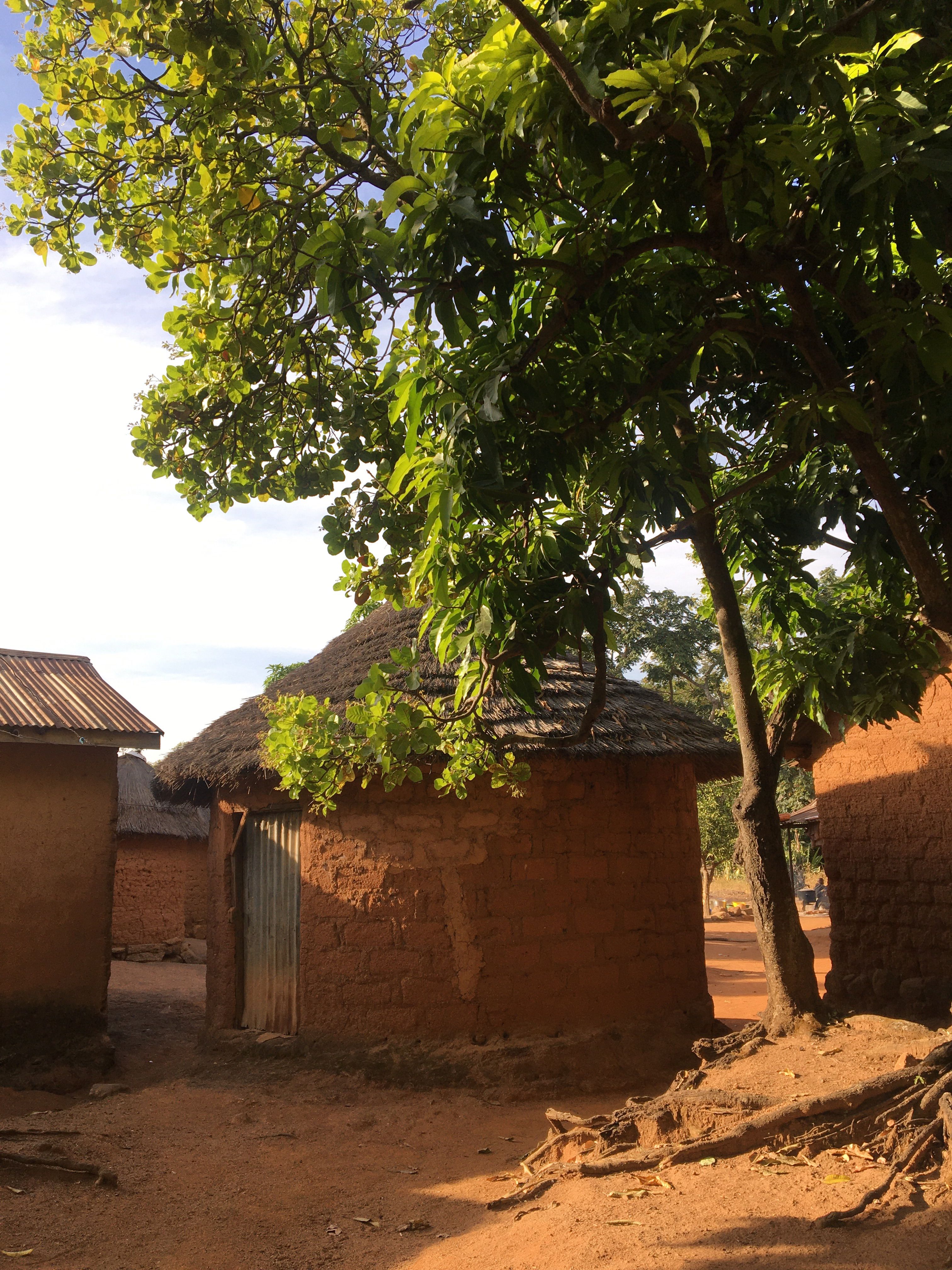 Rural Pathway Through Traditional Village · Free Stock Photo