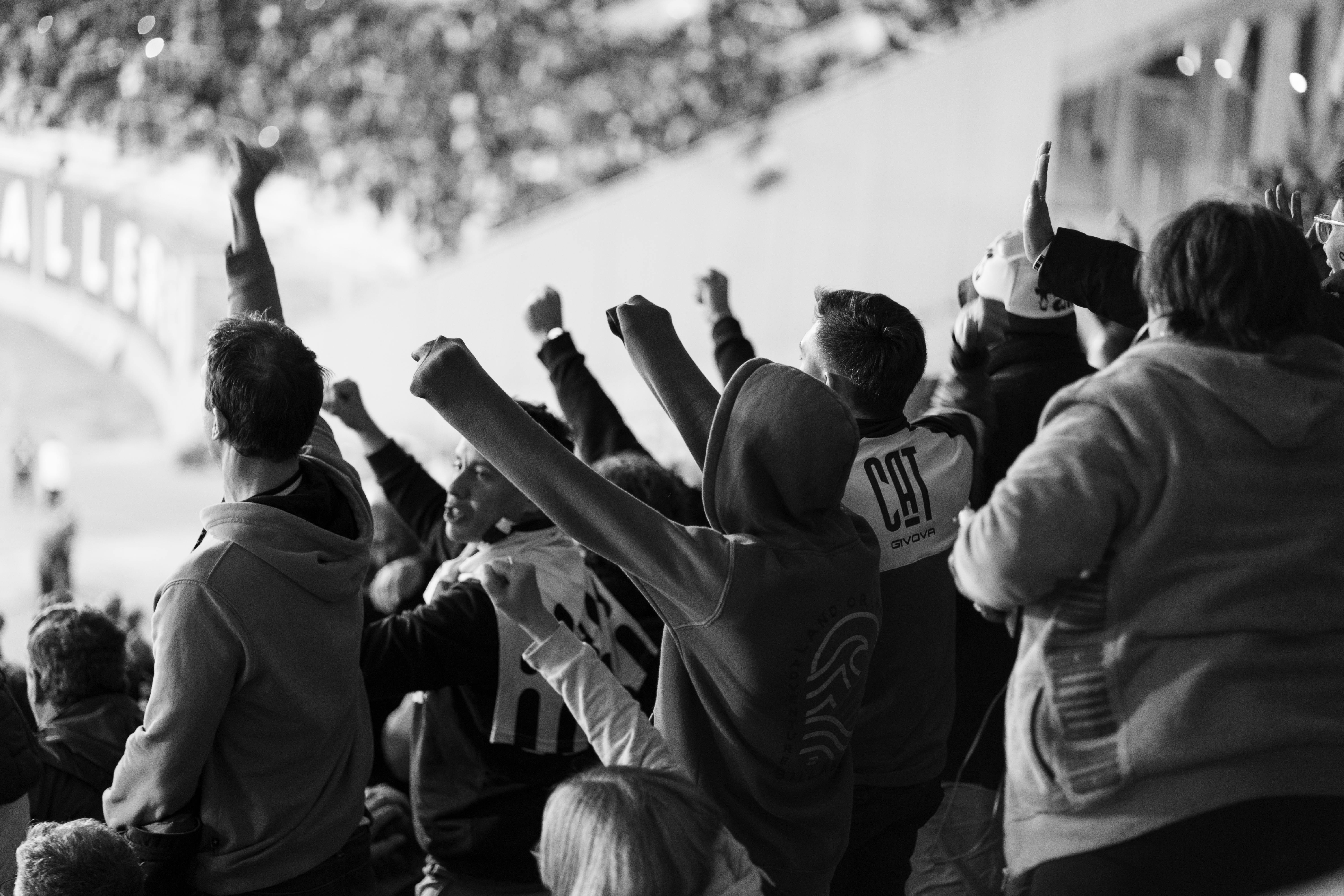 Excited Football Fans Celebrating at Stadium · Free Stock Photo