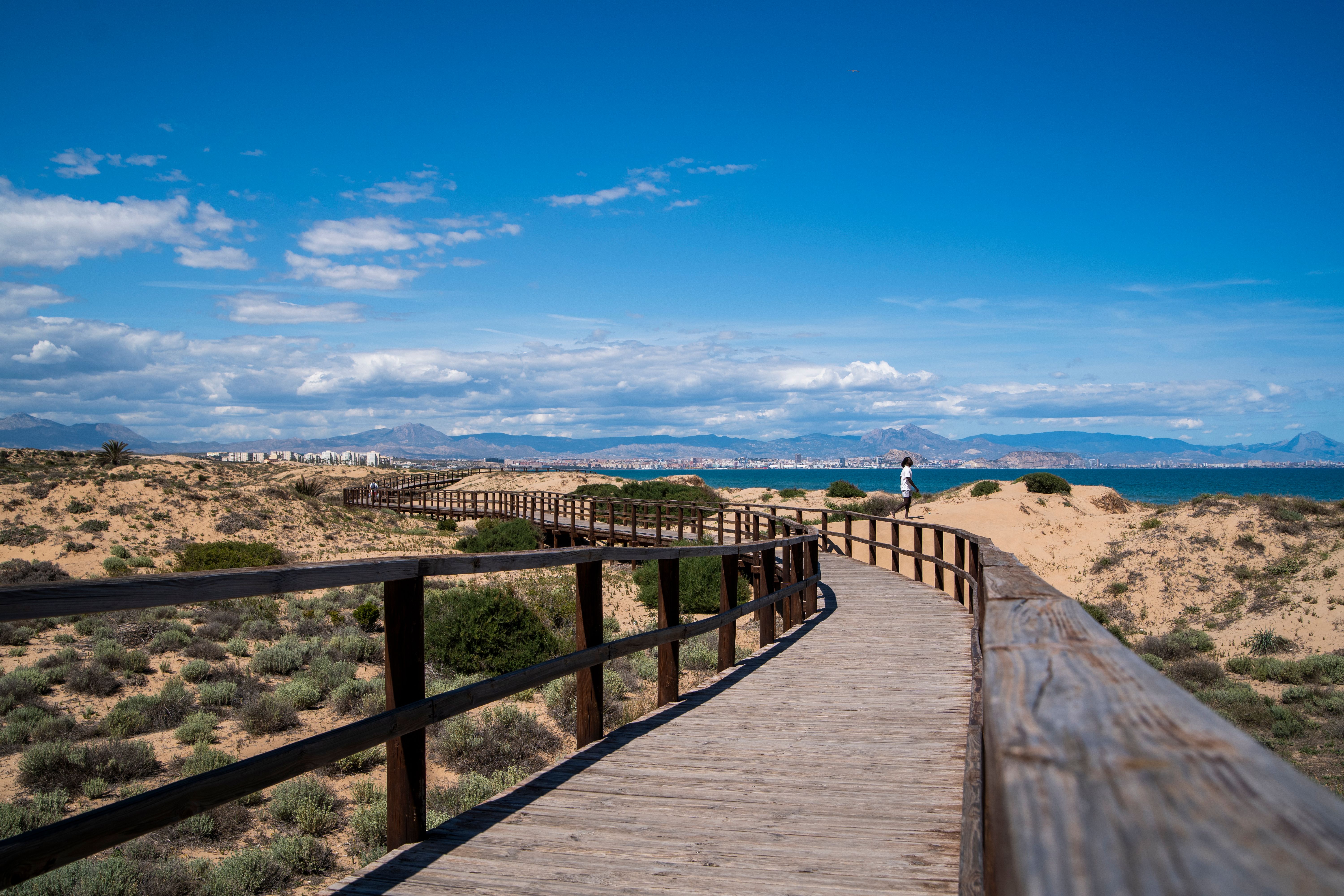 Scenic Coastal Boardwalk with Ocean View · Free Stock Photo