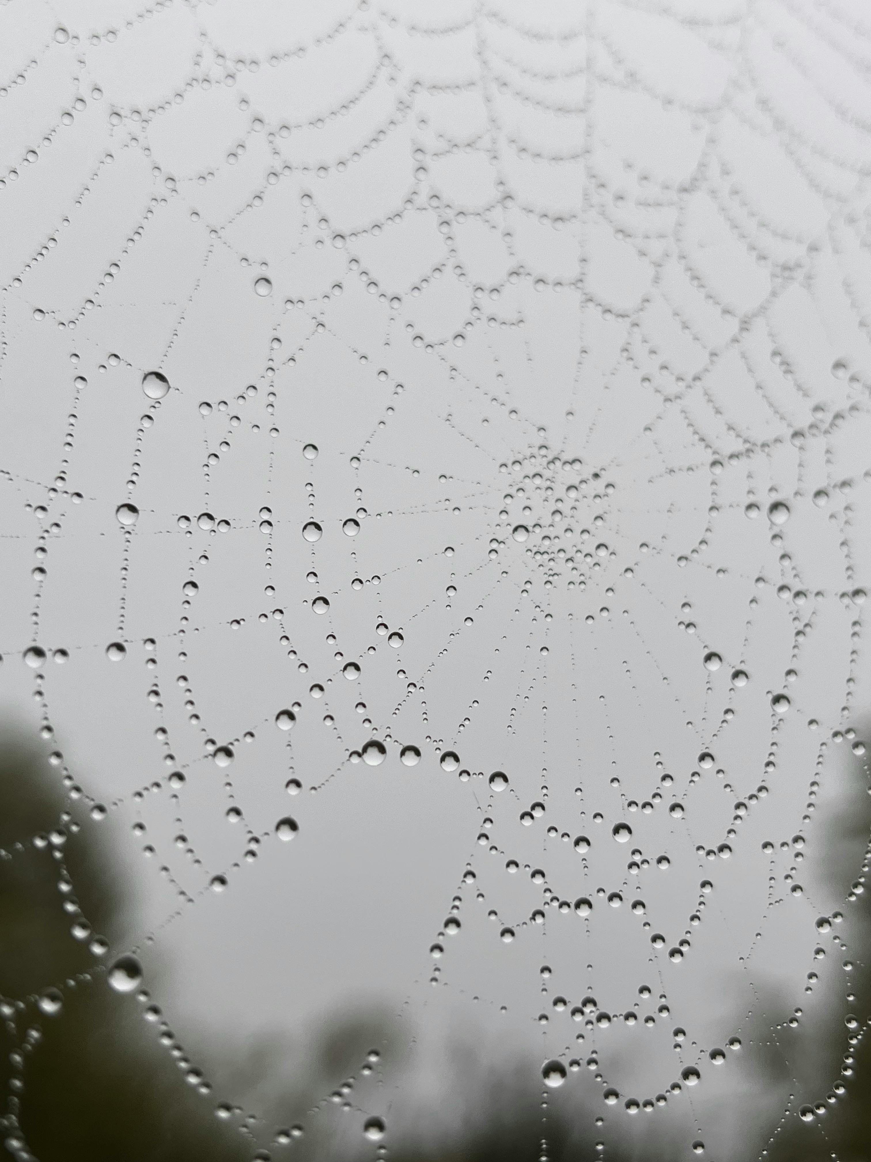 Ecosystem Network Photos, Download The BEST Free Ecosystem Network ...