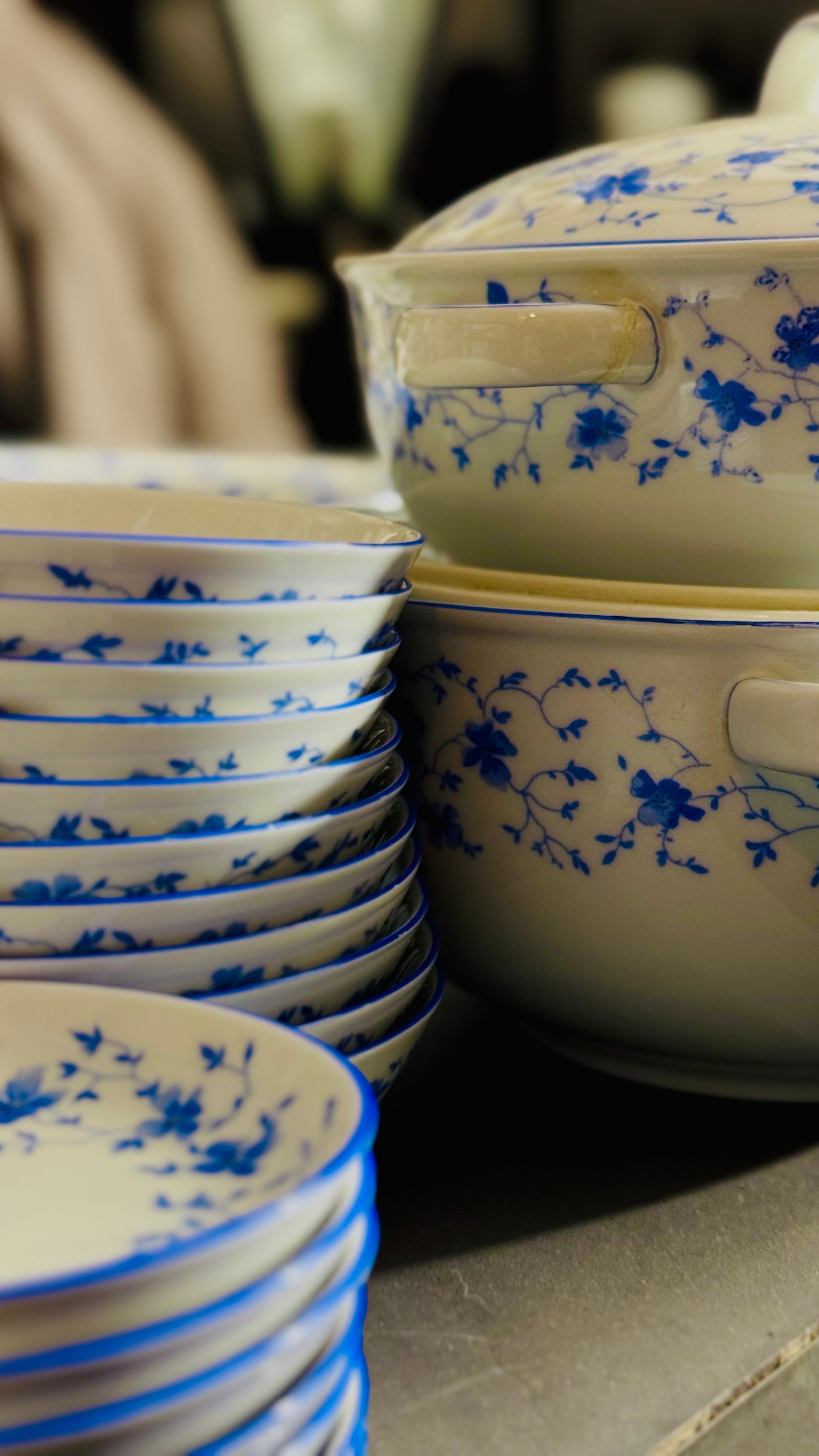 Elegant Blue Floral Porcelain Dish Set · Free Stock Photo