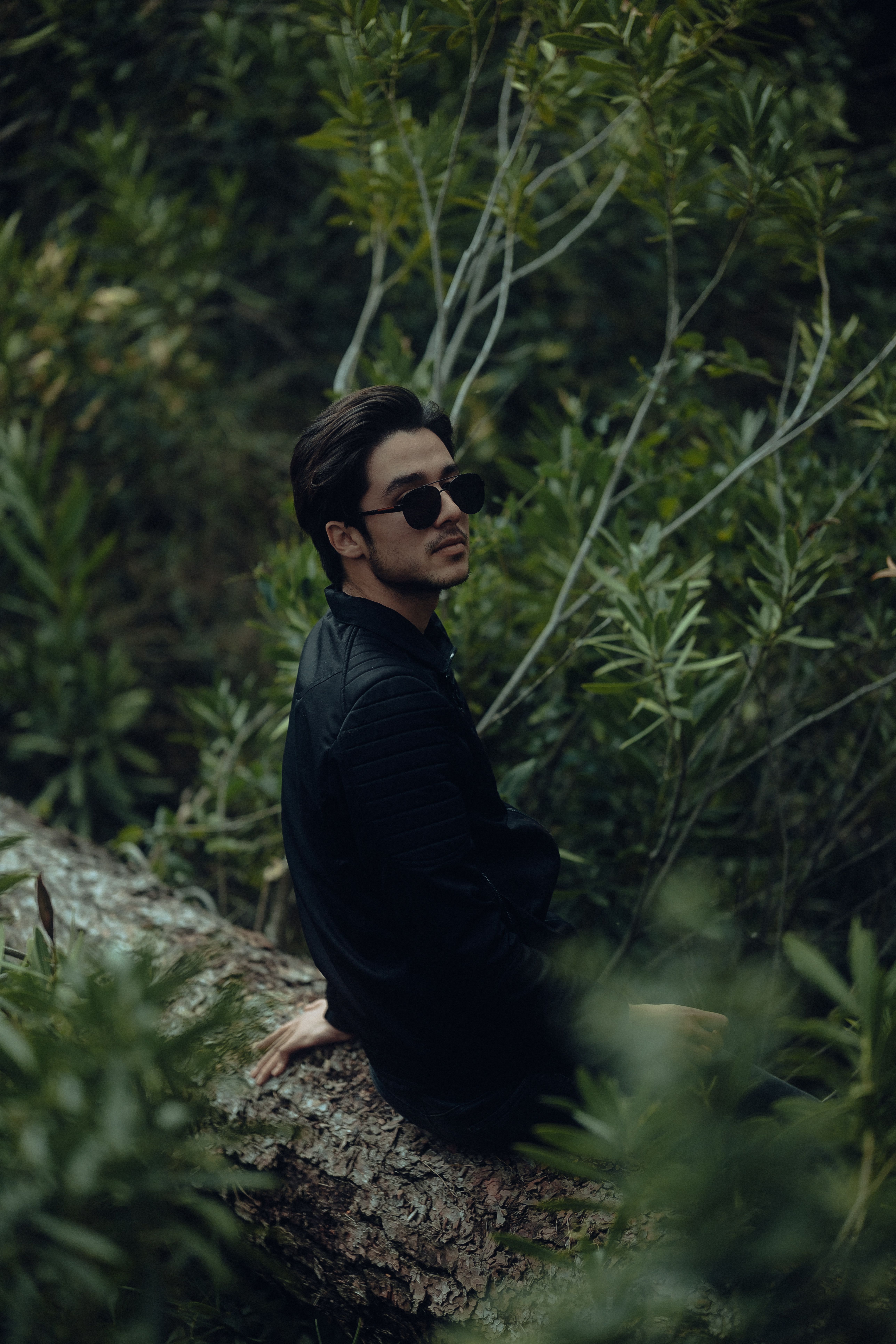Man Sitting on Fallen Tree in Green Forest · Free Stock Photo