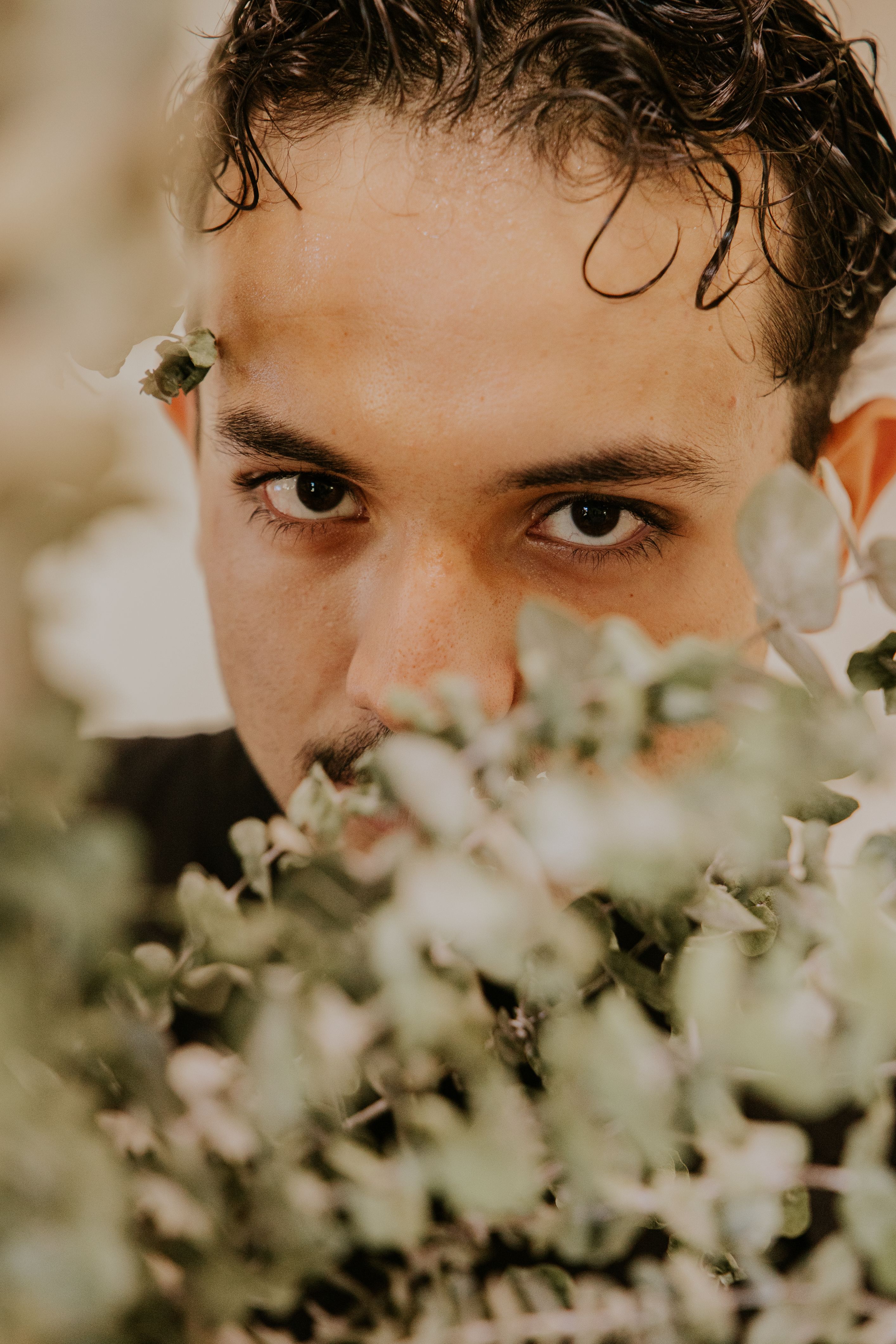 Portrait of a Man Partially Hidden by Foliage · Free Stock Photo