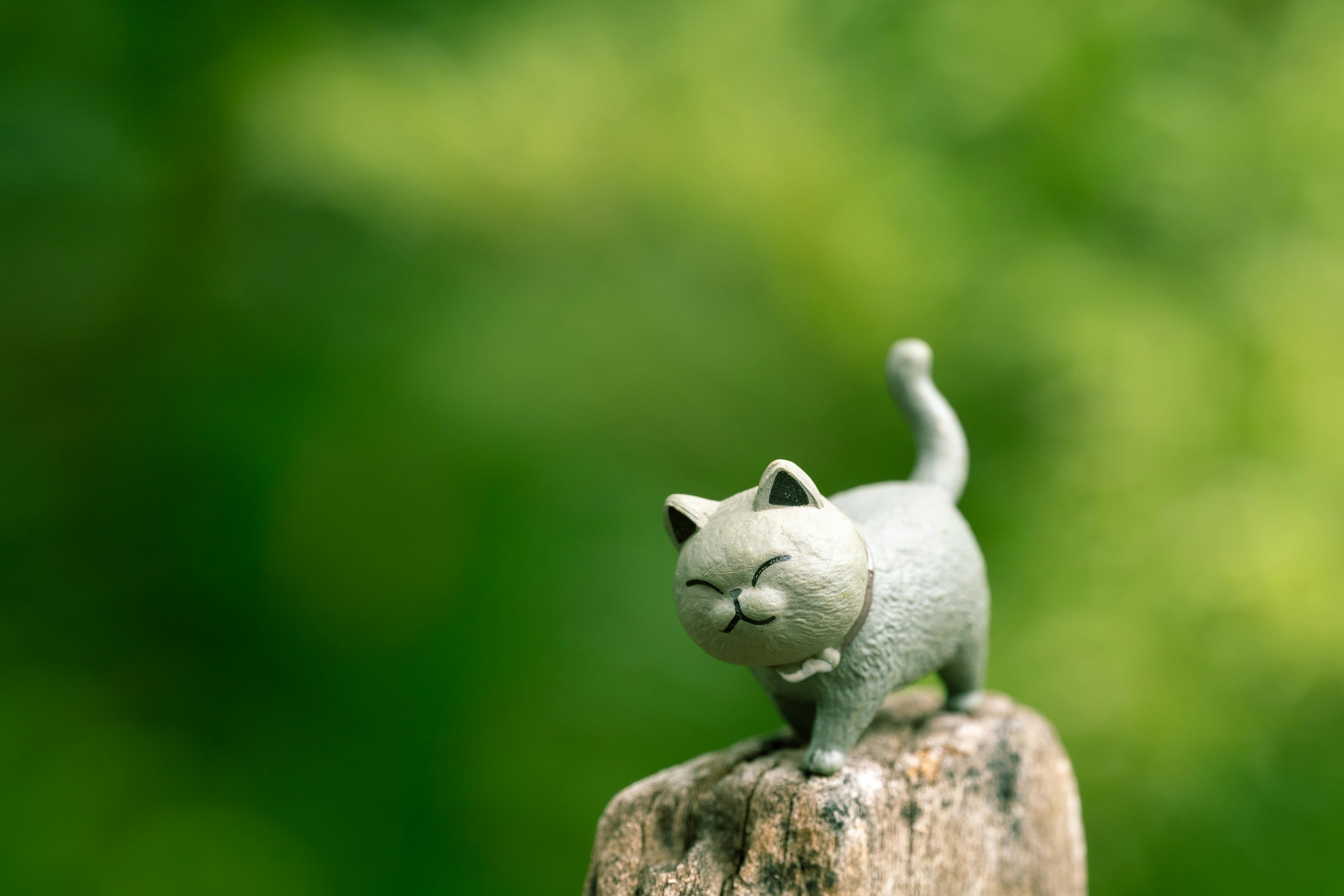 Small Background Photos, Download The BEST Free Small Background Stock ...