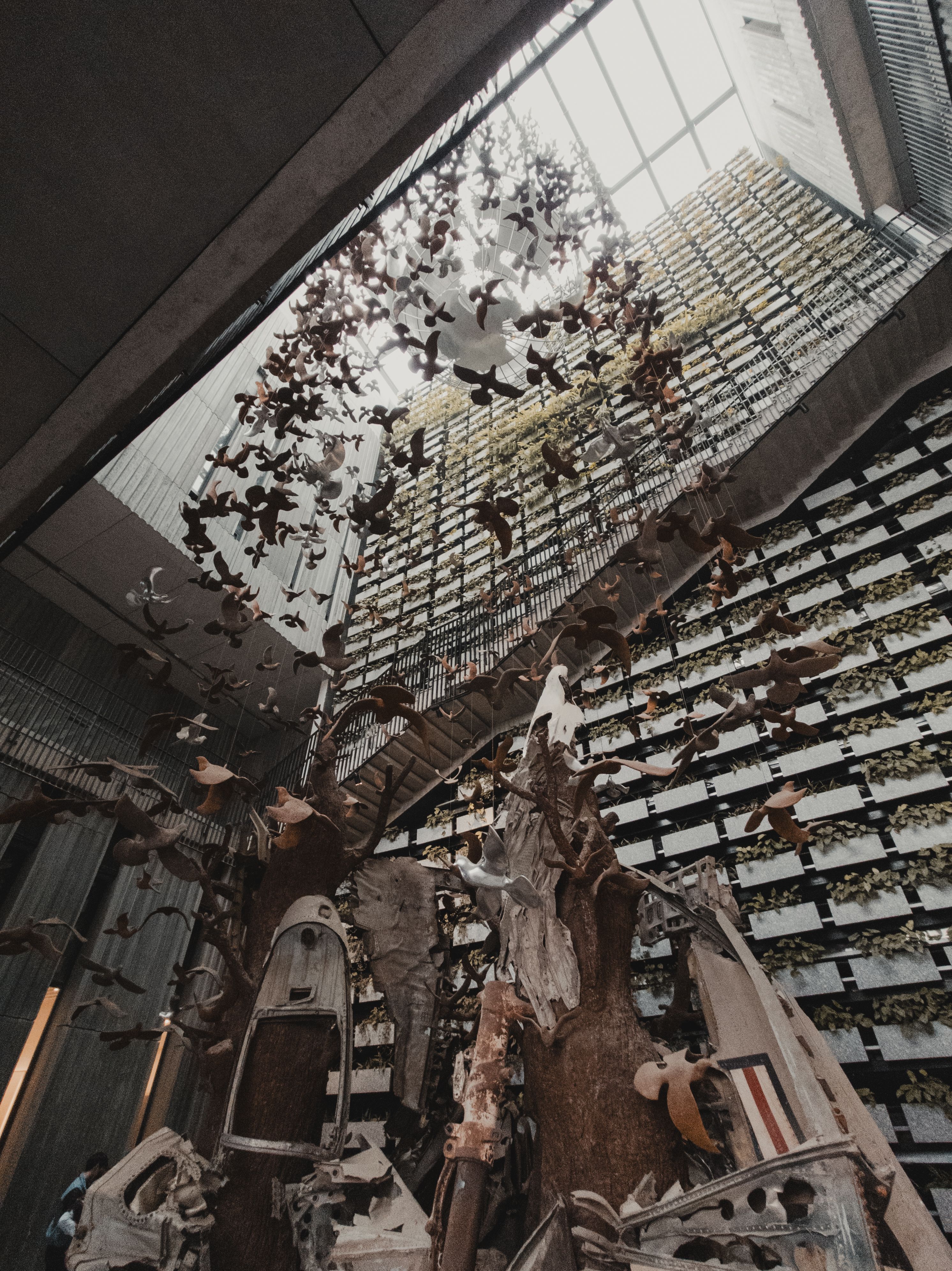 Artistic Indoor Bird Installation with Light · Free Stock Photo