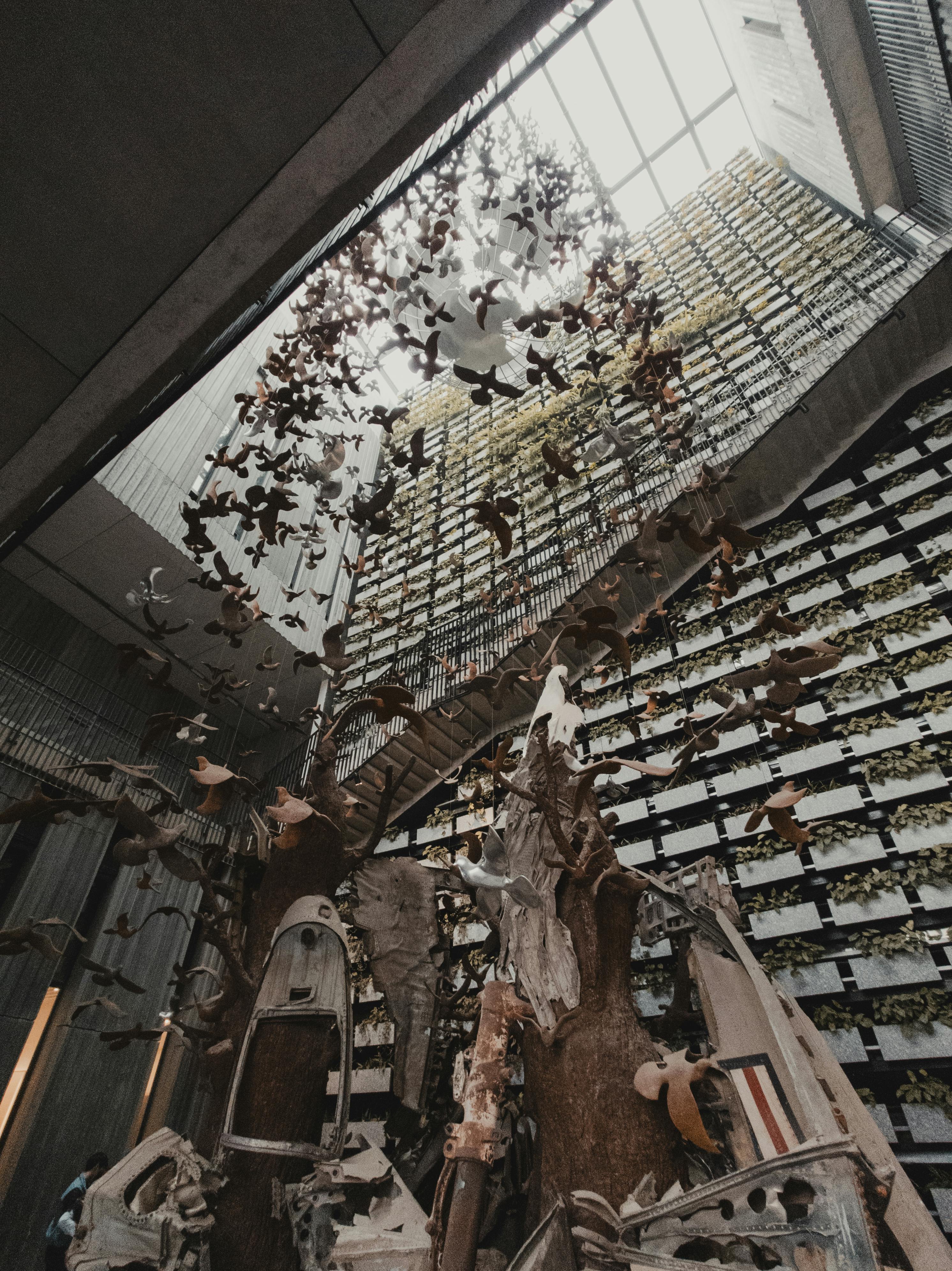 Artistic Indoor Bird Installation with Light · Free Stock Photo