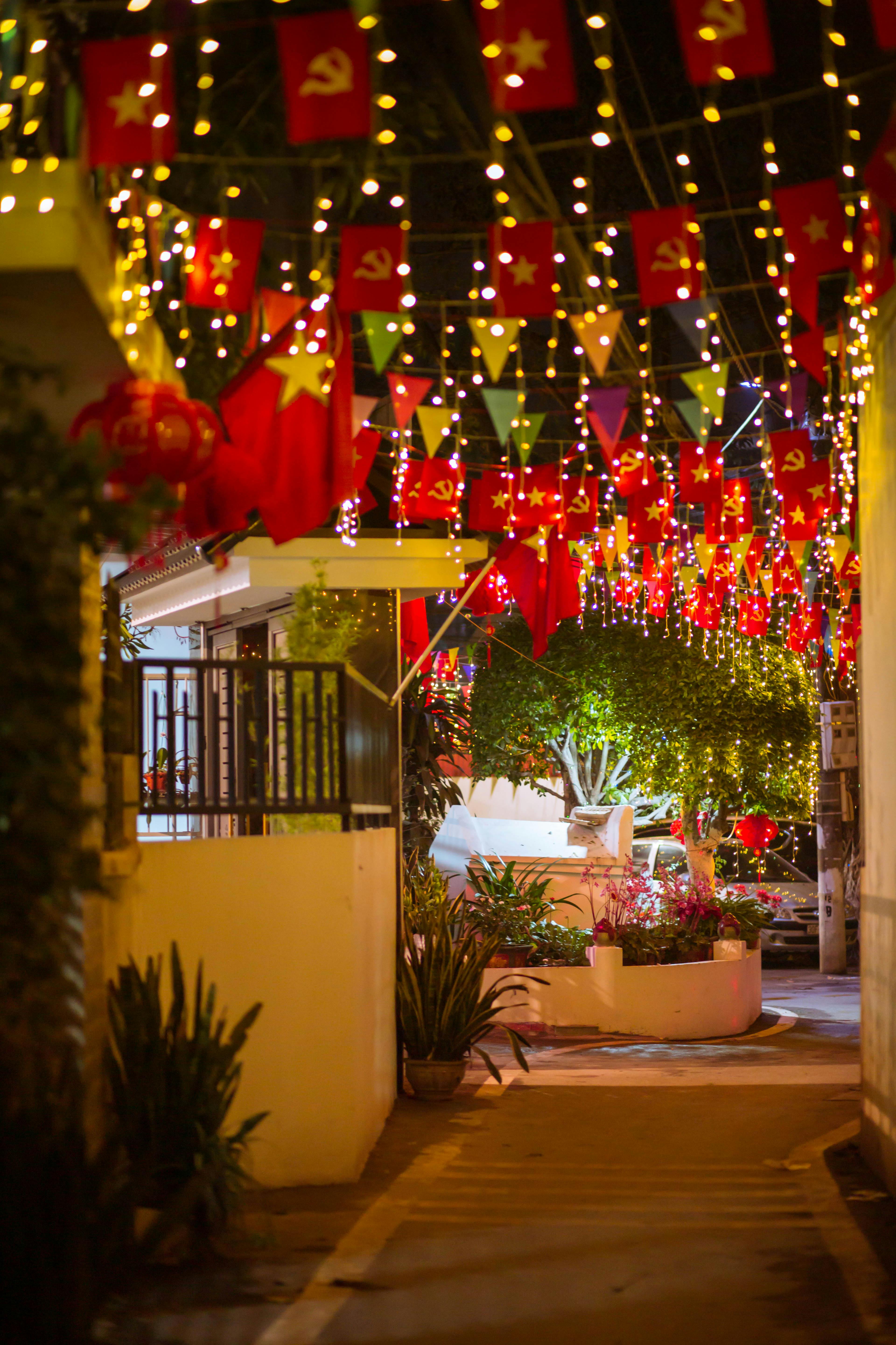 String+Bikini Photos, Download The BEST Free String+Bikini Stock Photos ...