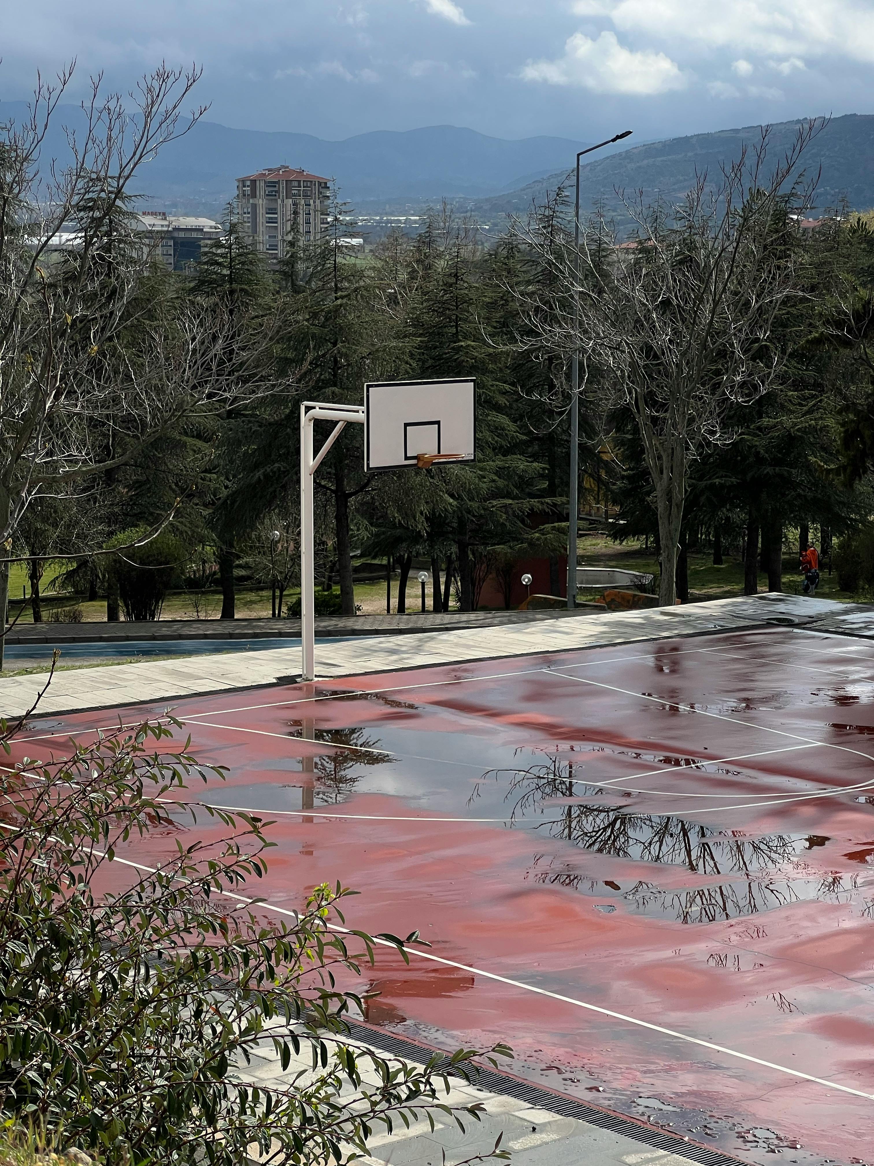 Basketball Pfp Photos, Download The BEST Free Basketball Pfp Stock ...