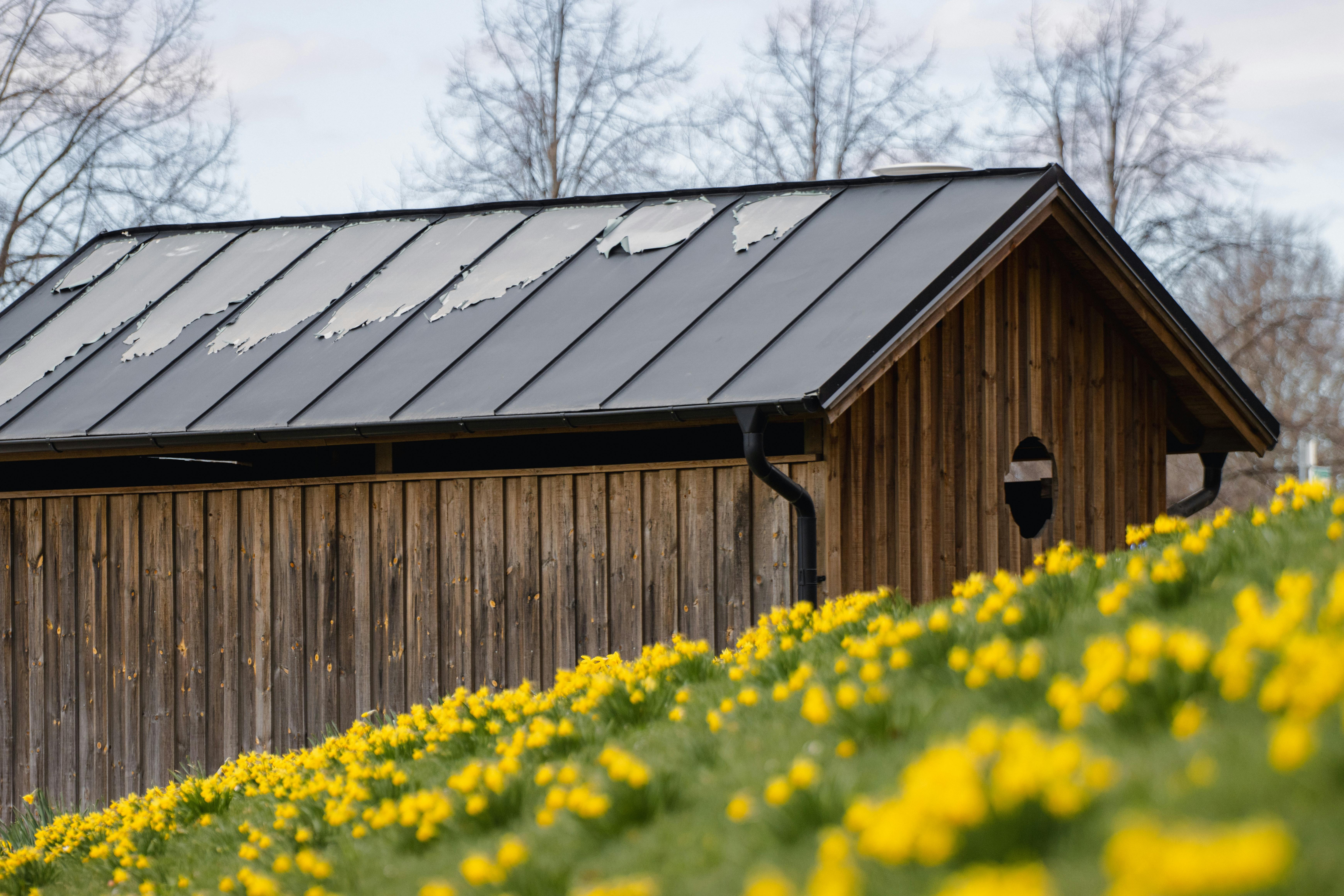 Rustic Barn Surrounded by Spring Flowers in Jönköping · Free Stock Photo