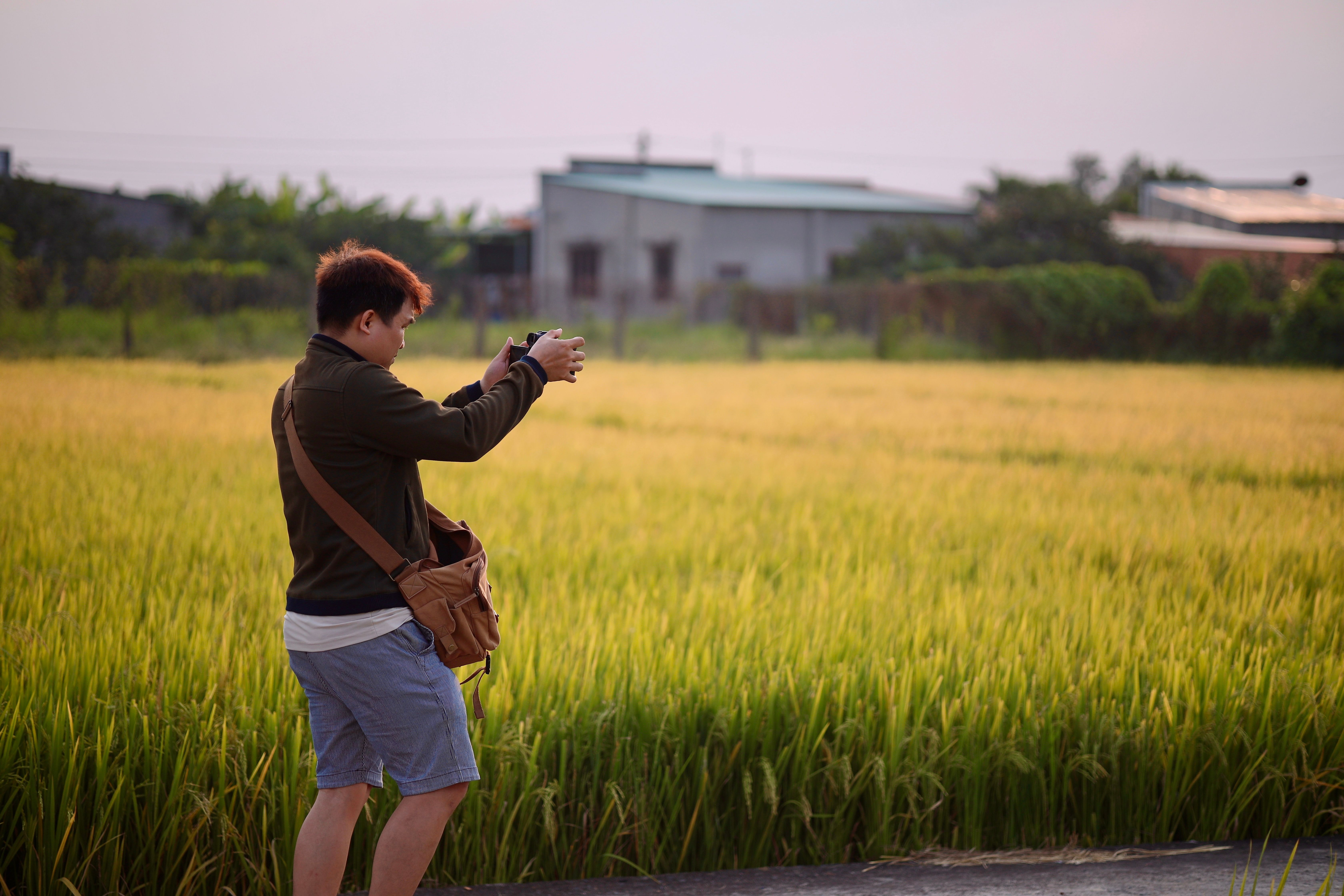Photographer Capturing Scenic Rice Field · Free Stock Photo