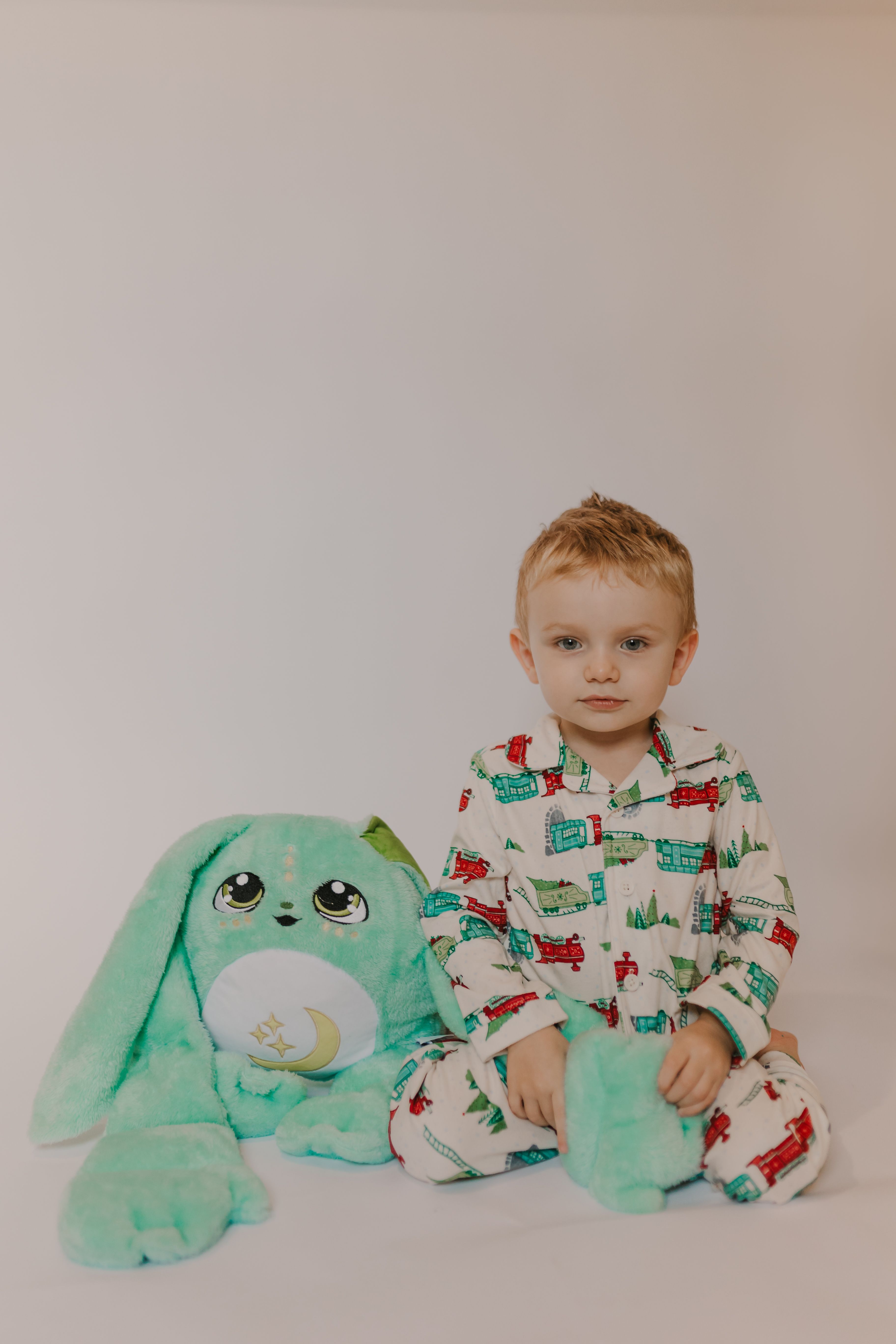 Cute Toddler and Plush Toy Portrait Indoors · Free Stock Photo