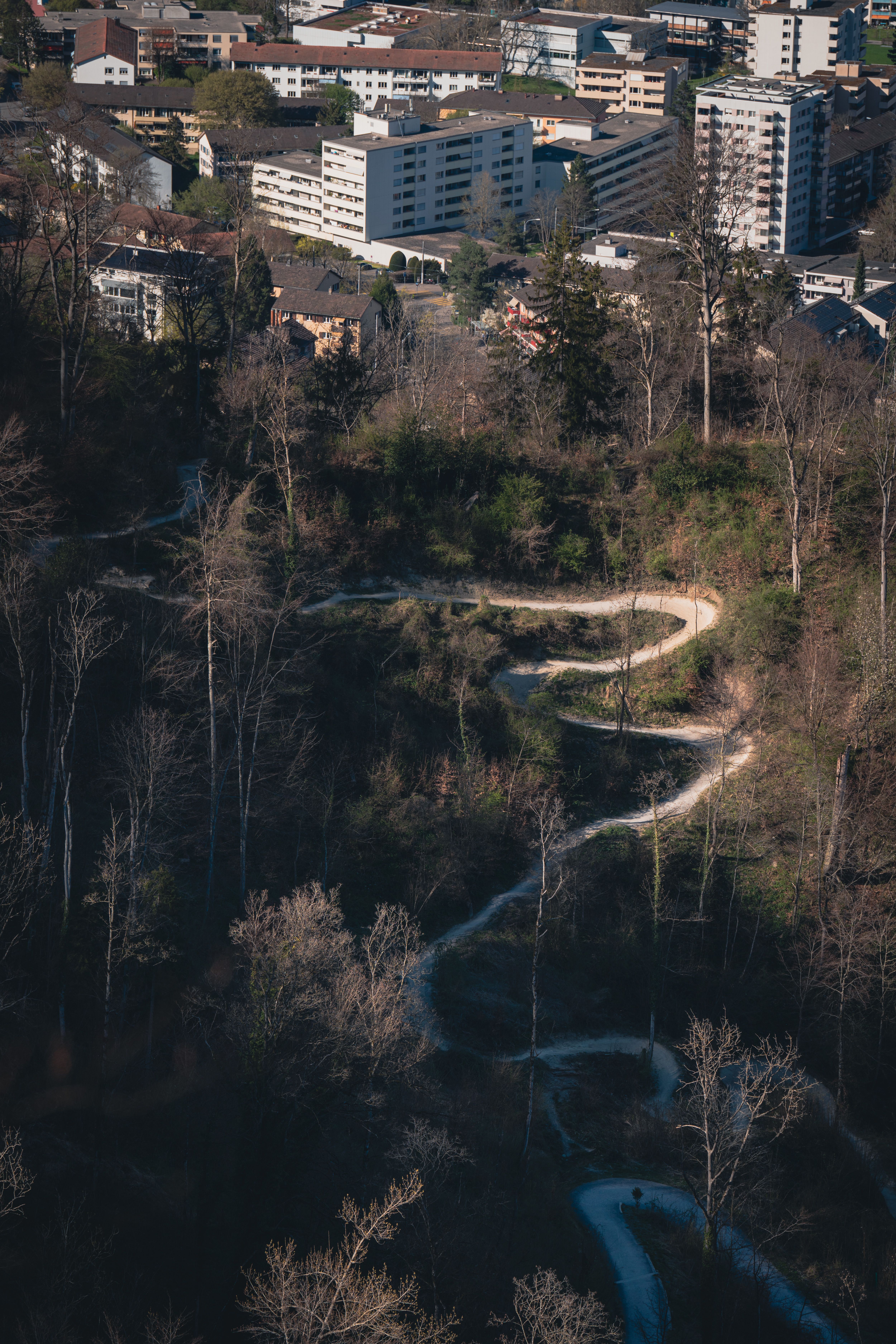 Aerial view of winding forest path near urban buildings · Free Stock Photo