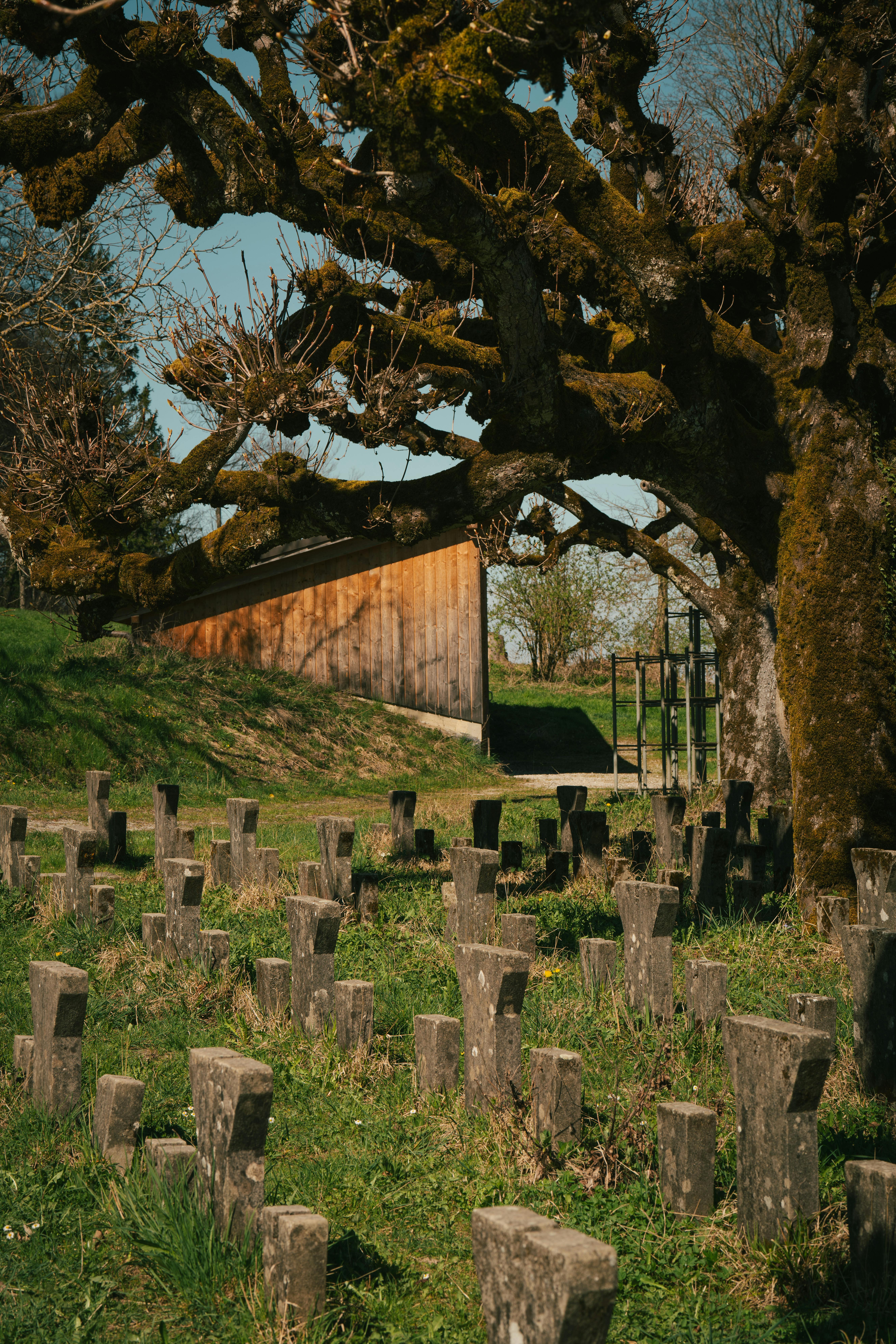 Heritage Graveyard Photos, Download The BEST Free Heritage Graveyard ...