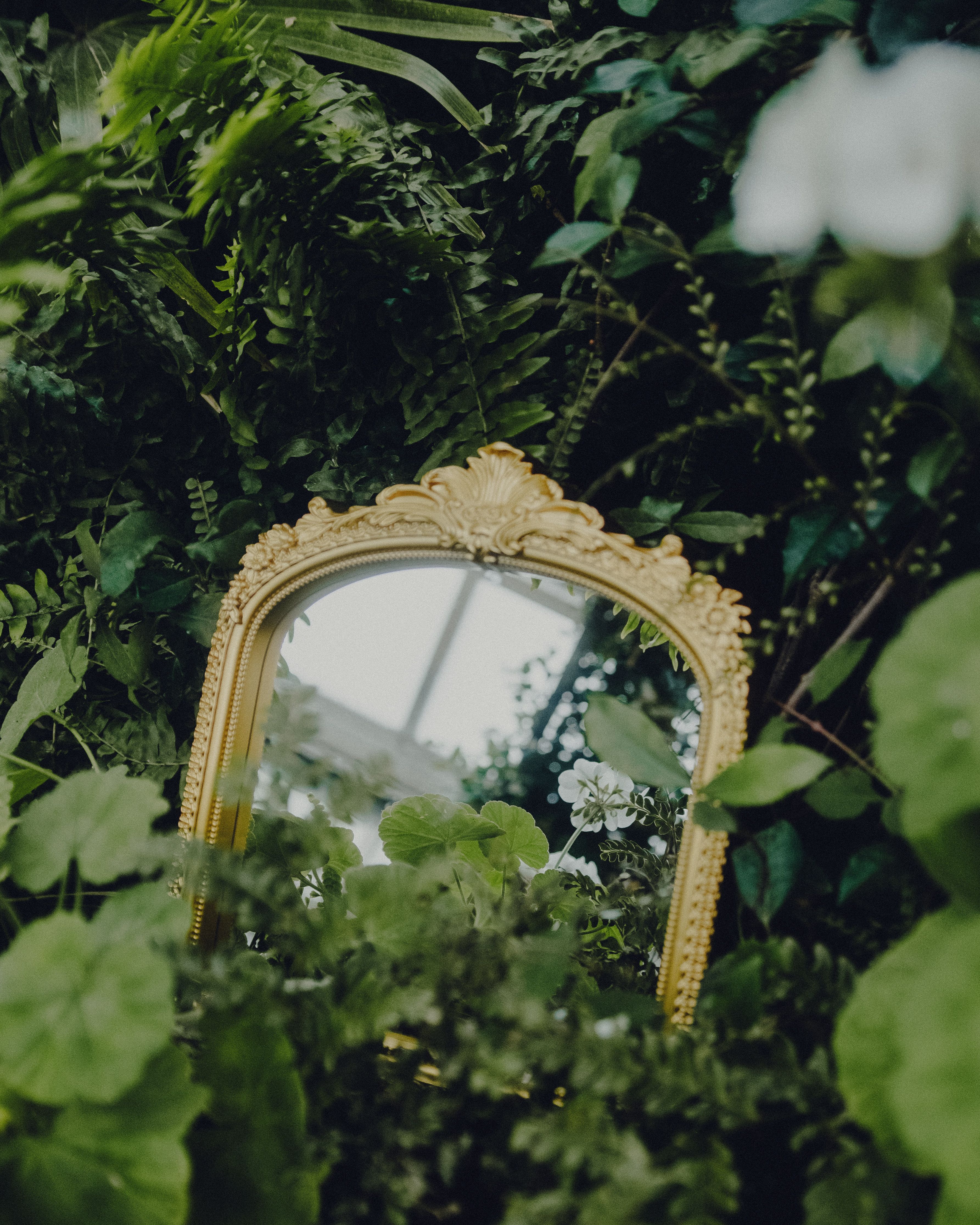 Ornate Gold Mirror Reflecting Greenery in Lush Garden · Free Stock Photo