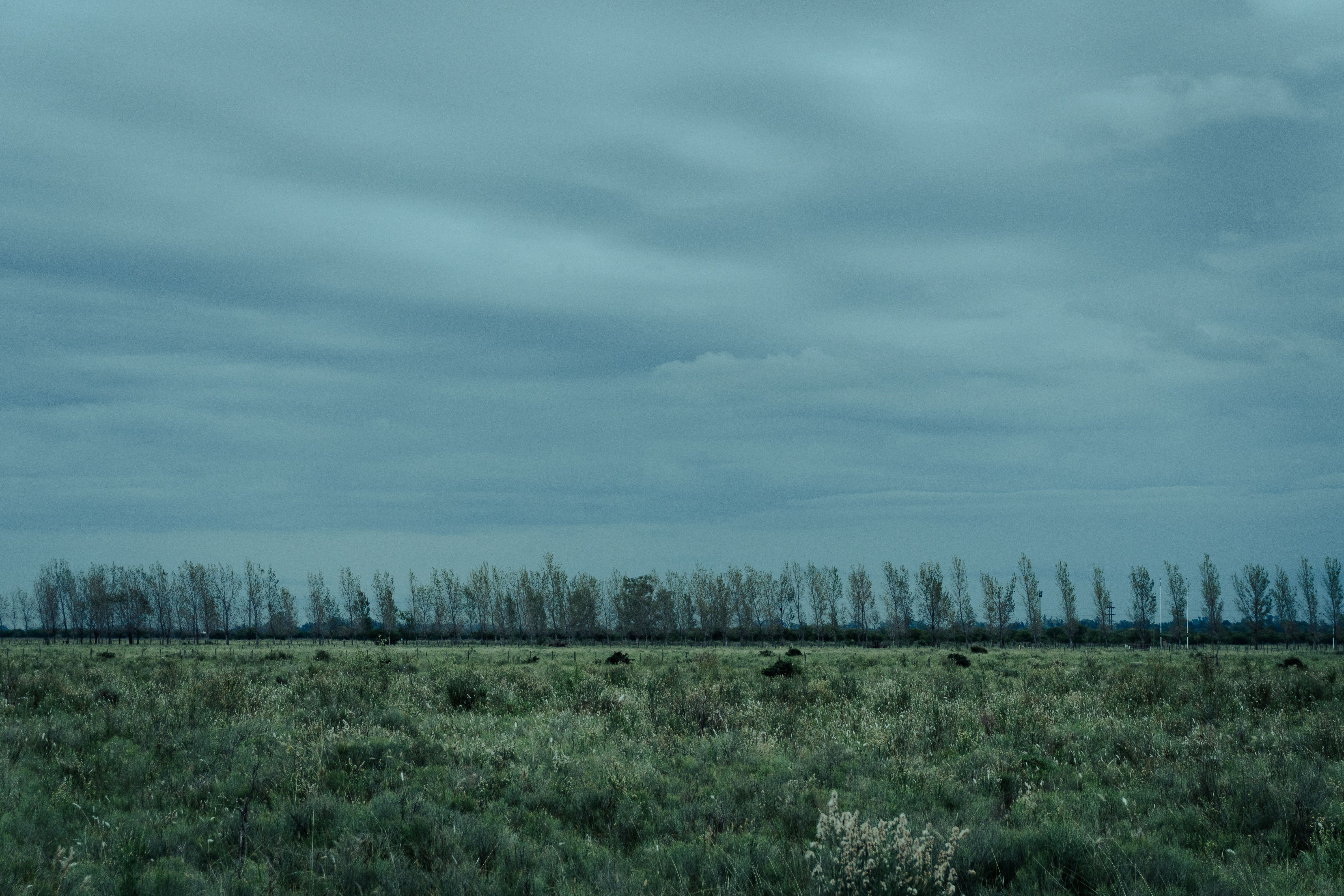 Vast Field Under Moody Clouded Sky in Argentina · Free Stock Photo
